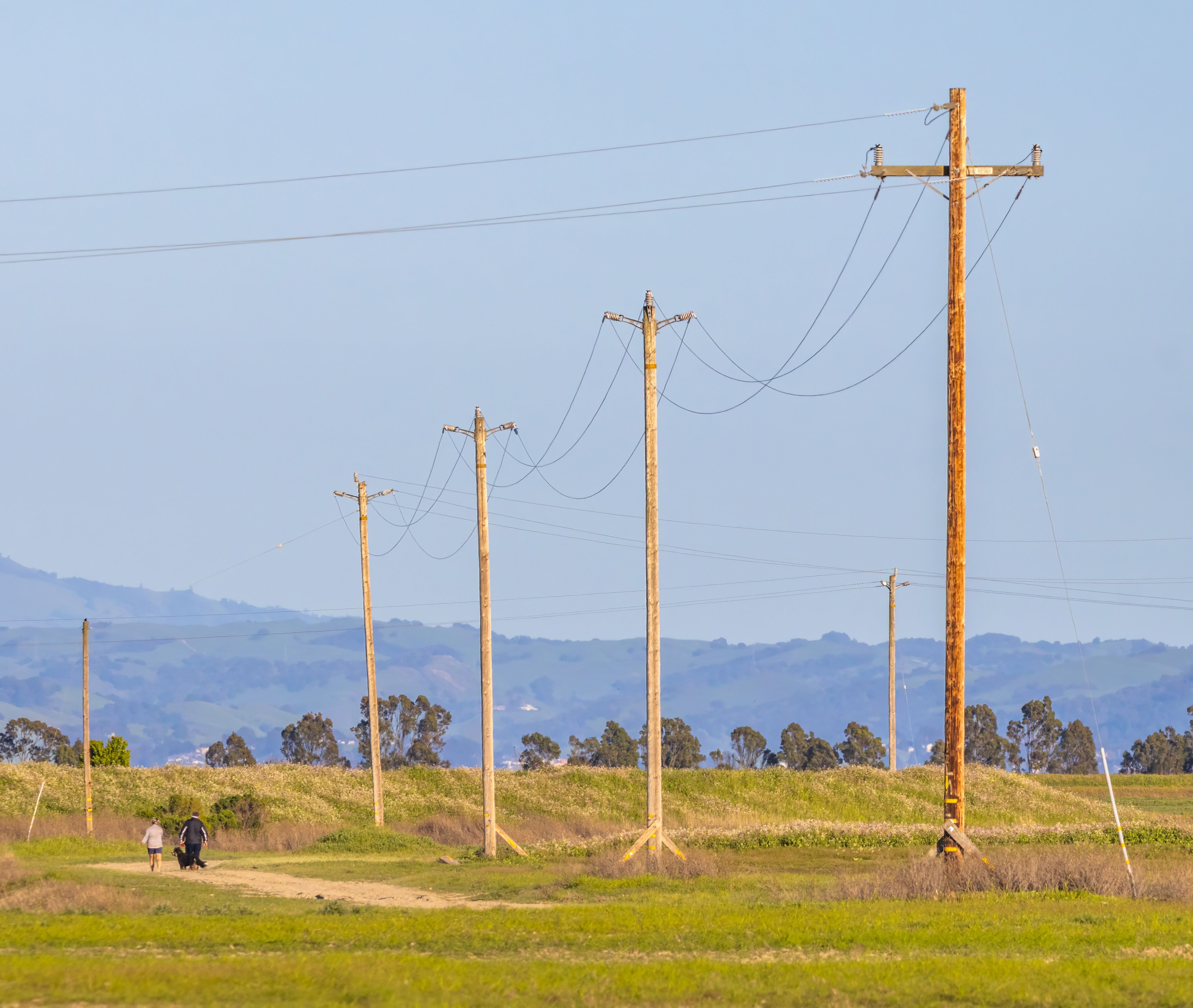 Utility Poles near Dirt Road · Free Stock Photo