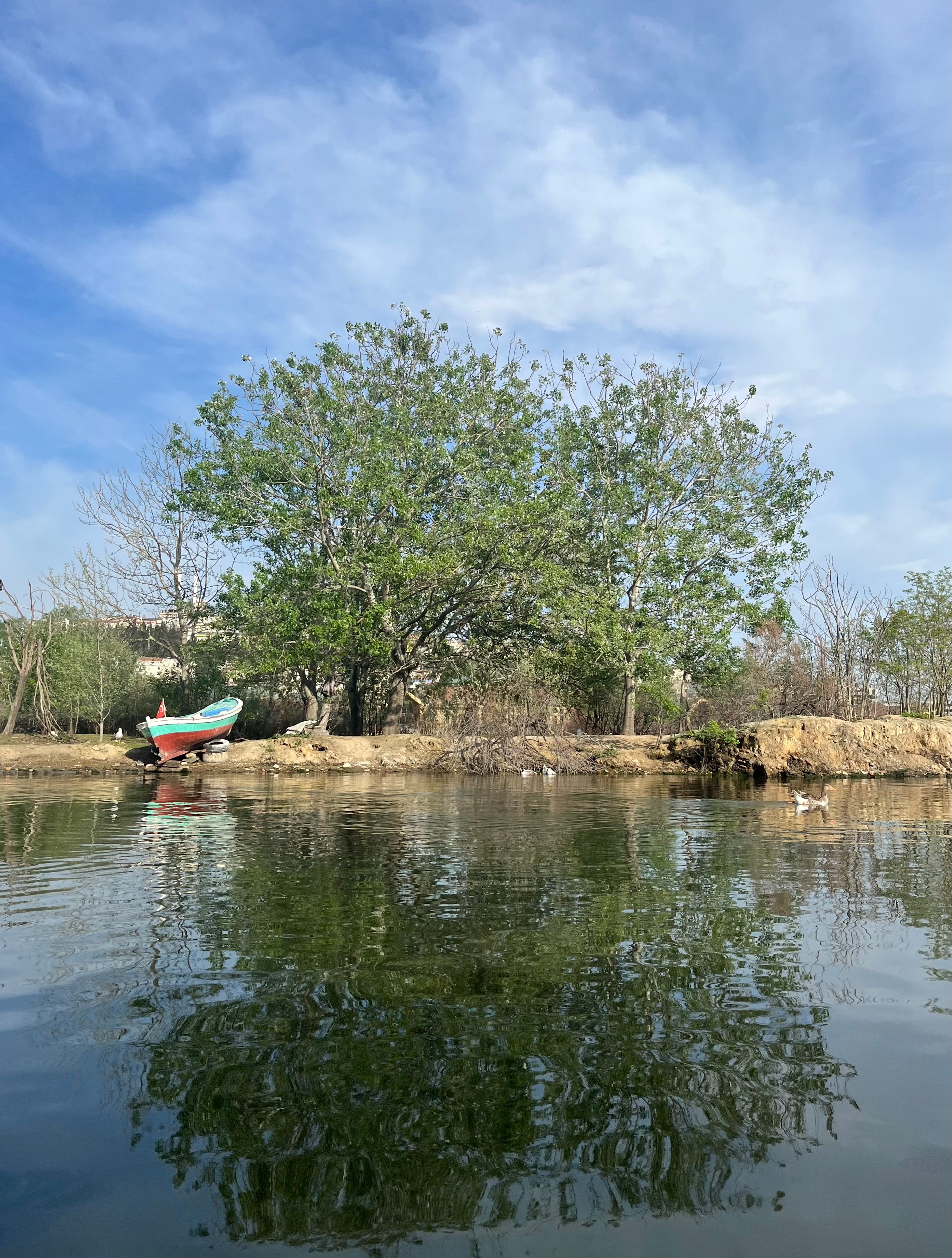 View of a Boat Moored on the Shore near a Tree · Free Stock Photo