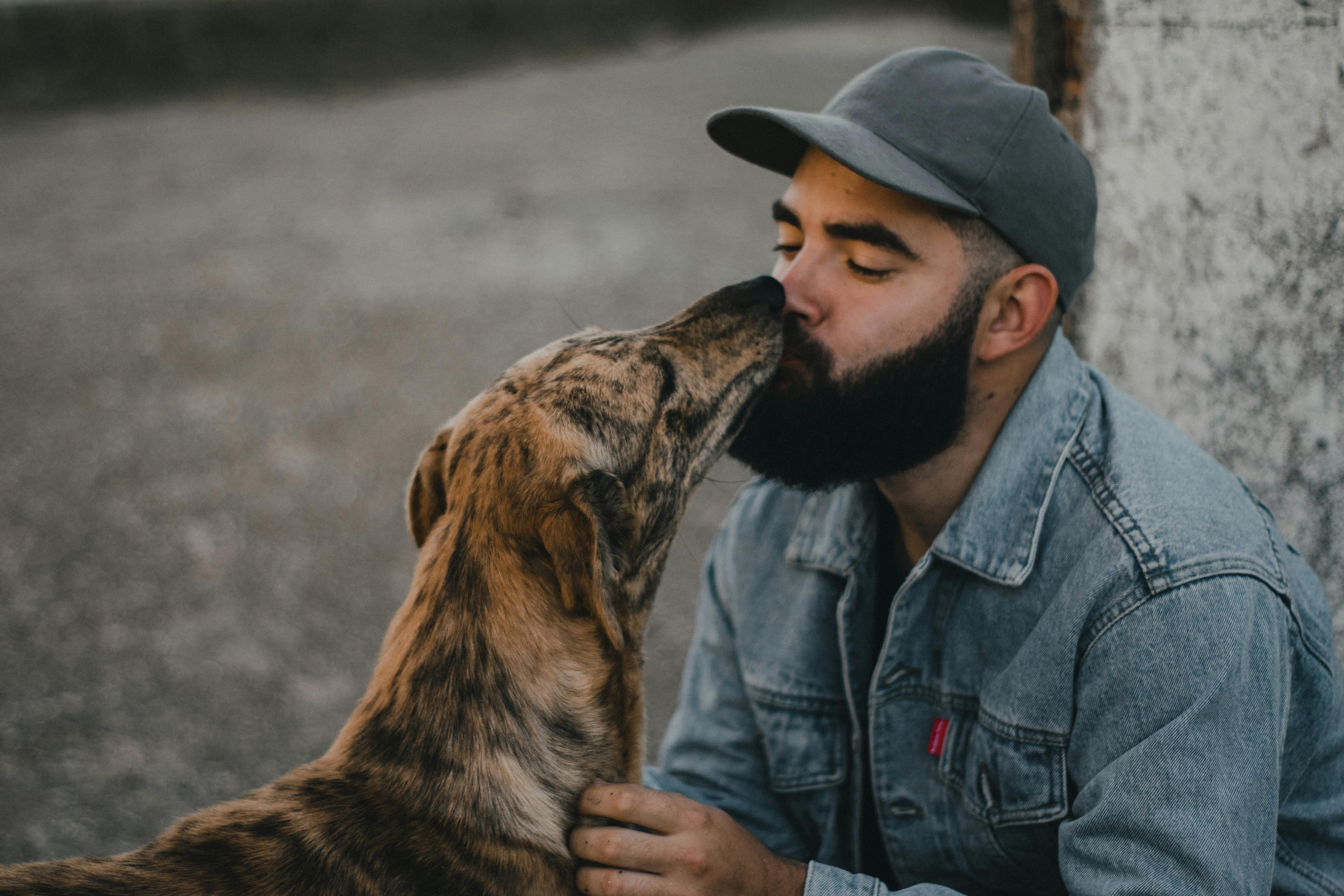 Man Kissing Dog · Free Stock Photo