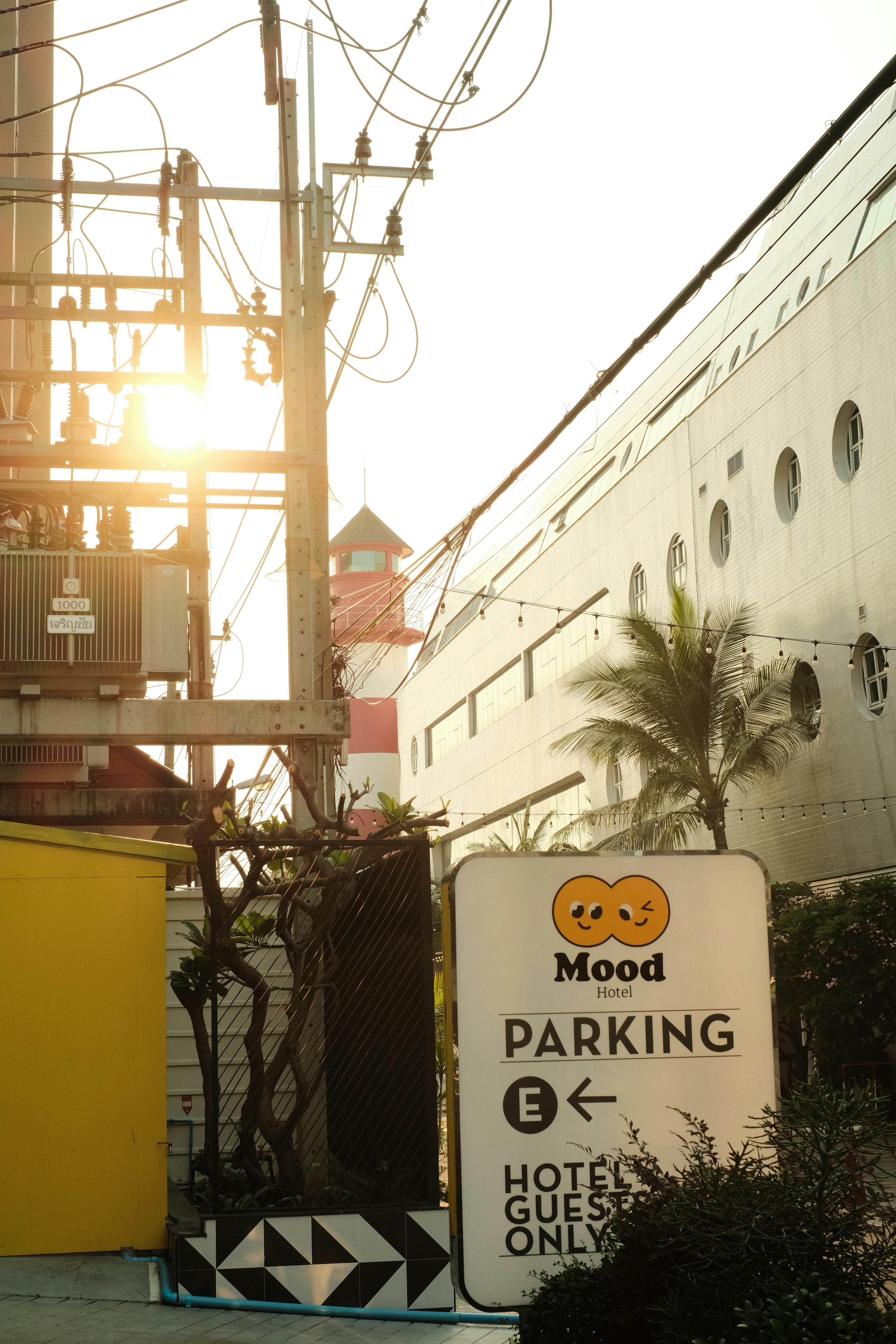 Directional Signs in Town at Night · Free Stock Photo