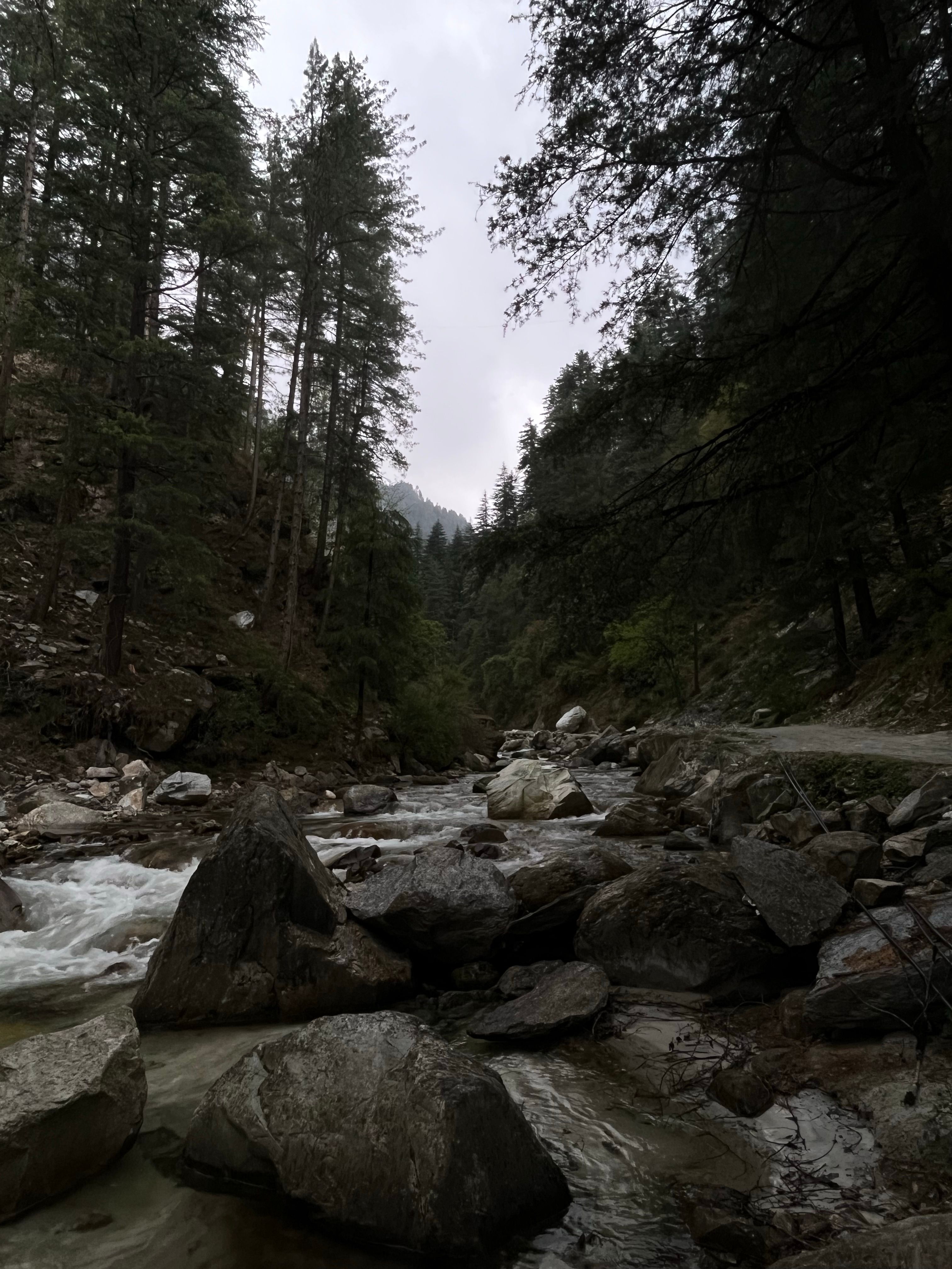 Stream among Sunlit Hills · Free Stock Photo