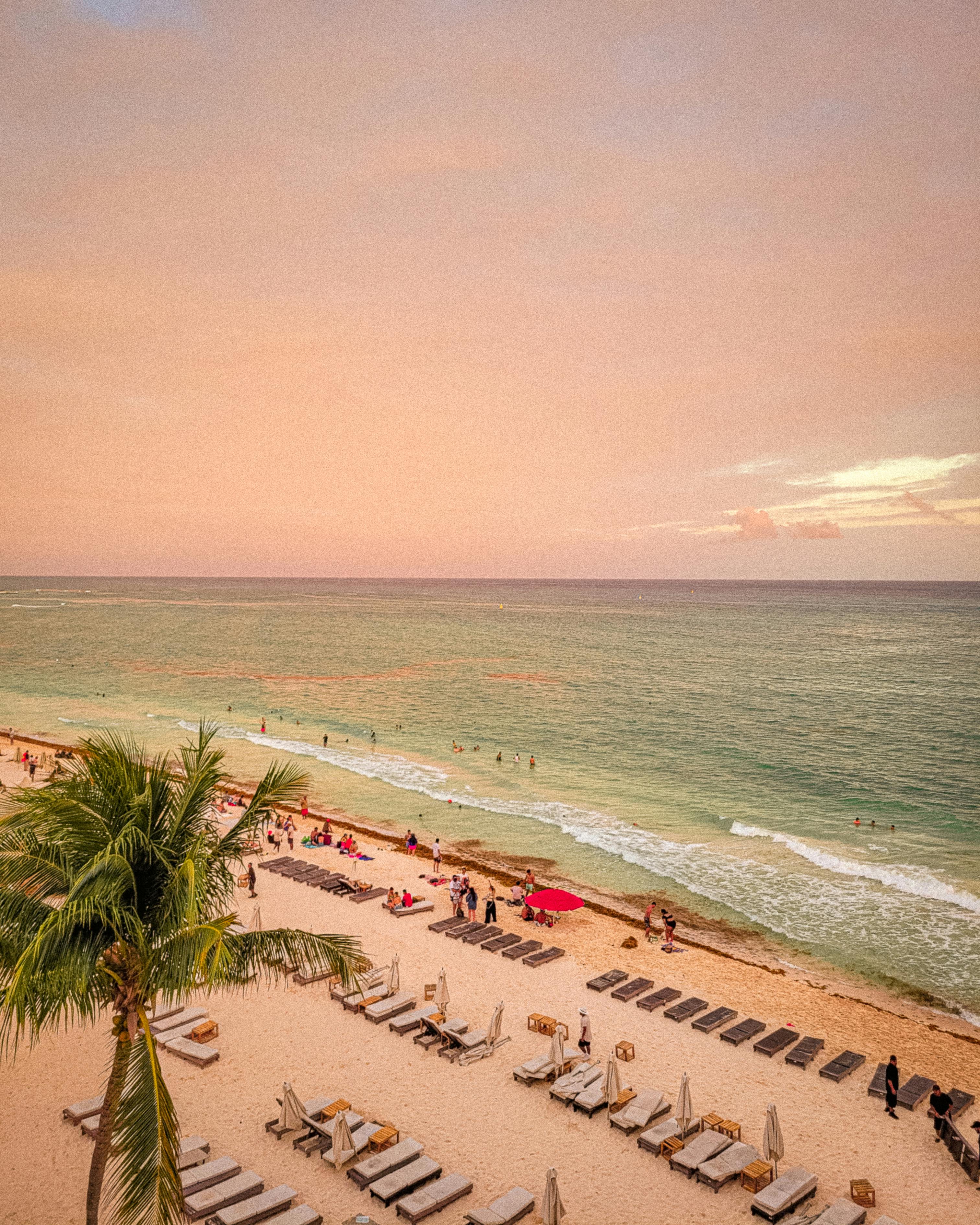 Aerial View of a Beach with Sun Loungers and the Seascape under a Pink ...