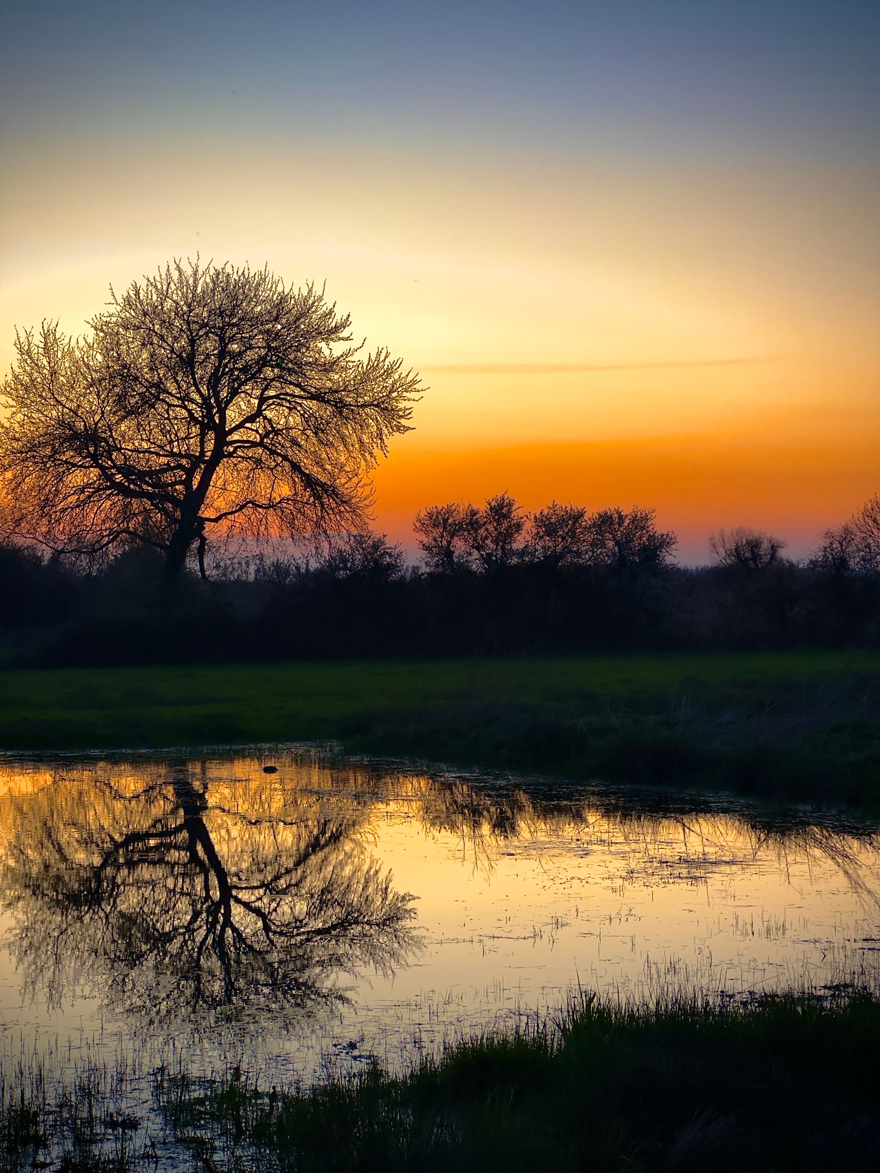 Rural Scenery at Dawn · Free Stock Photo