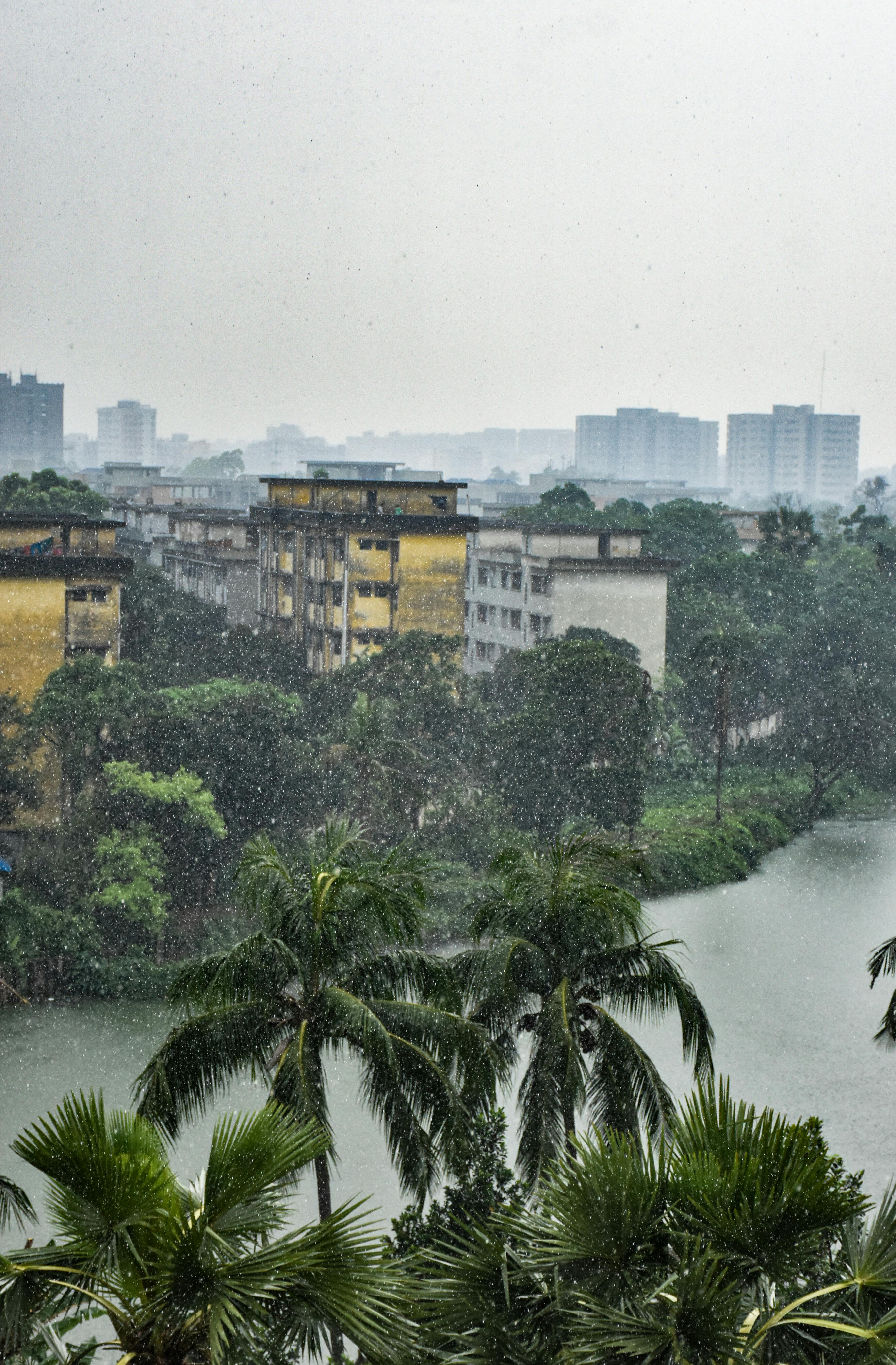Rainfall In City Photos, Download The BEST Free Rainfall In City Stock ...