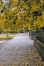 More 840 Park Synonyms. Similar words for Park.