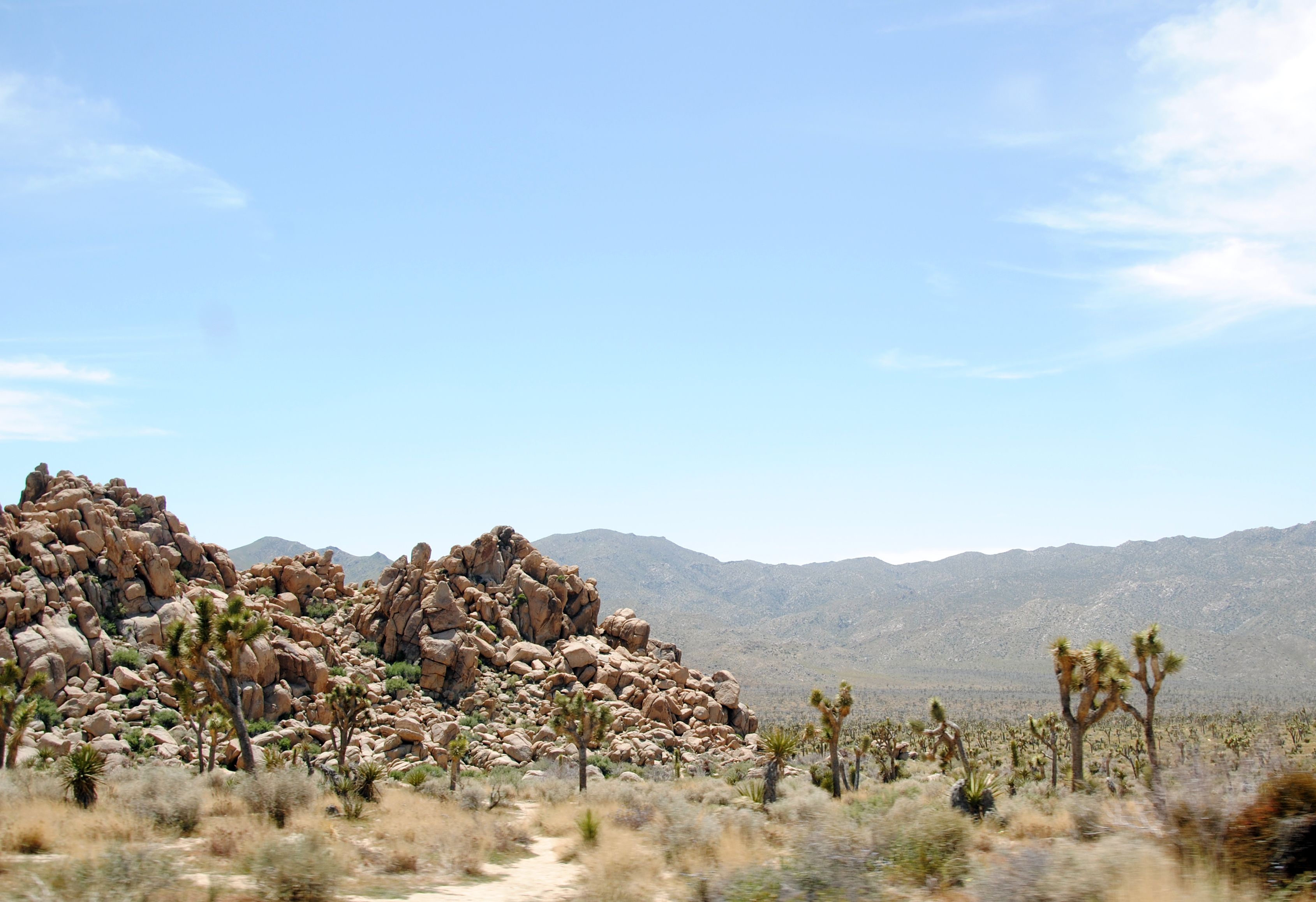 Arid Rocks and Plants Scenery · Free Stock Photo