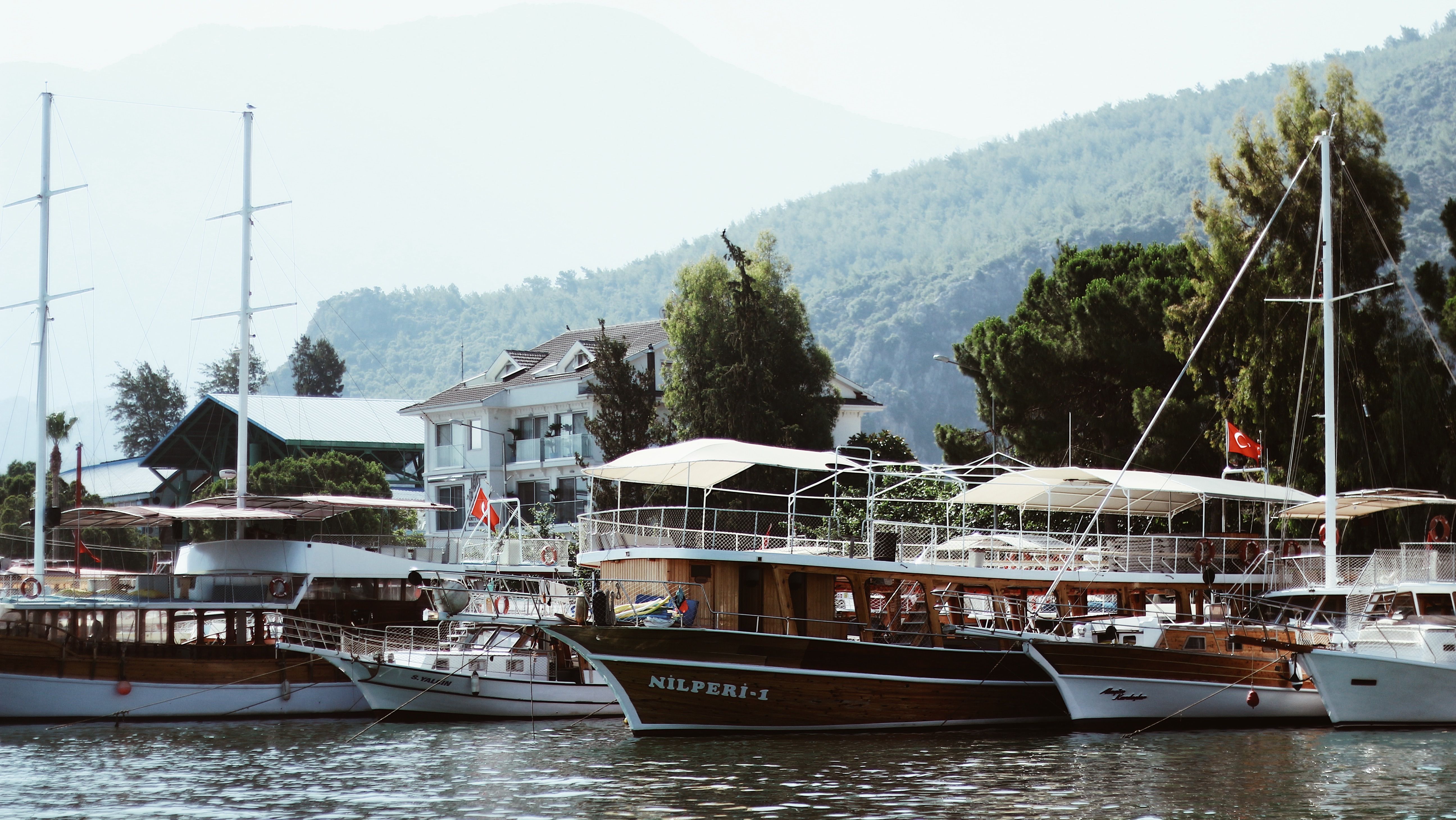 Row of Moored Boats · Free Stock Photo