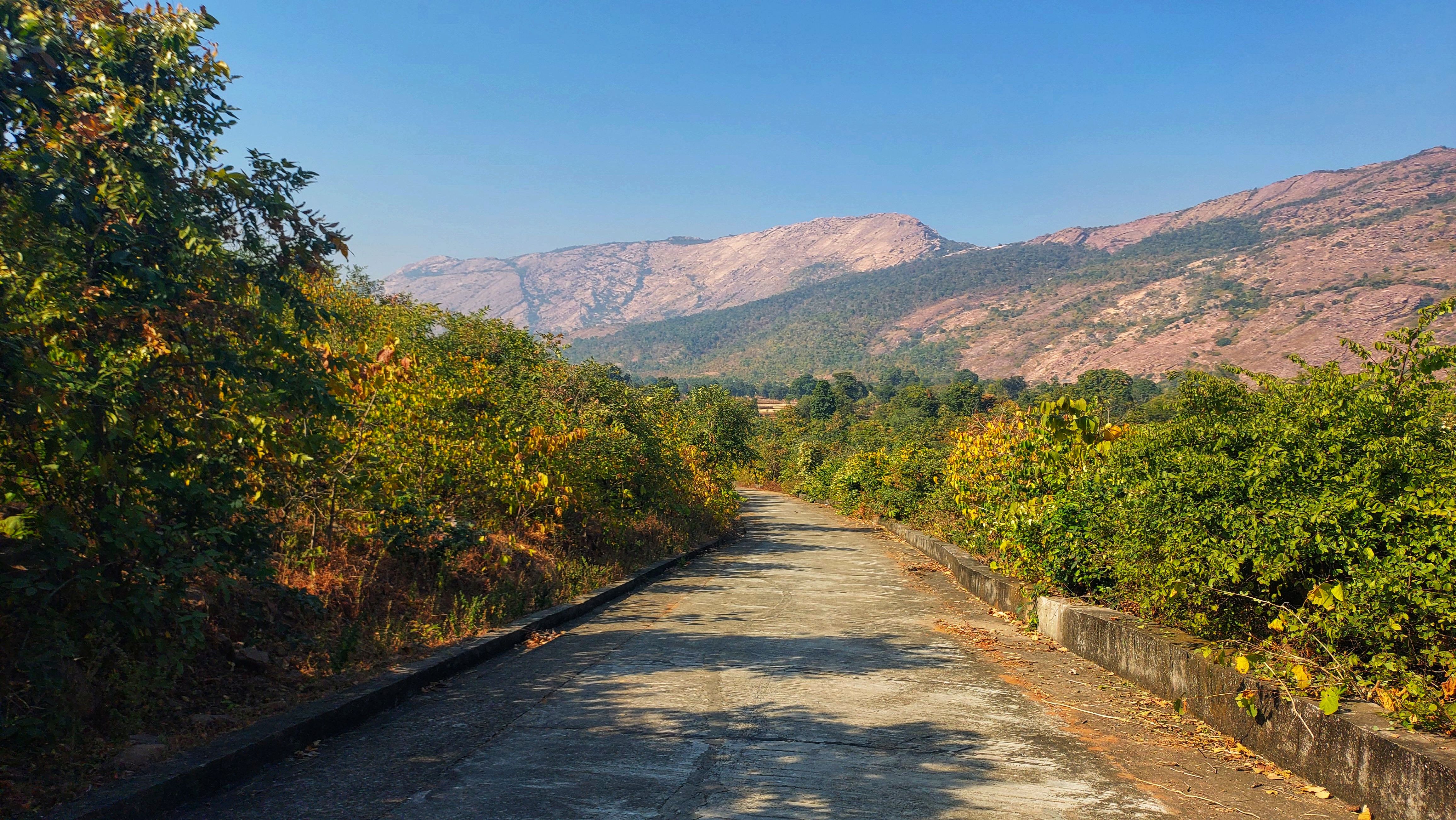 Scenic Landscape with a Country Road · Free Stock Photo