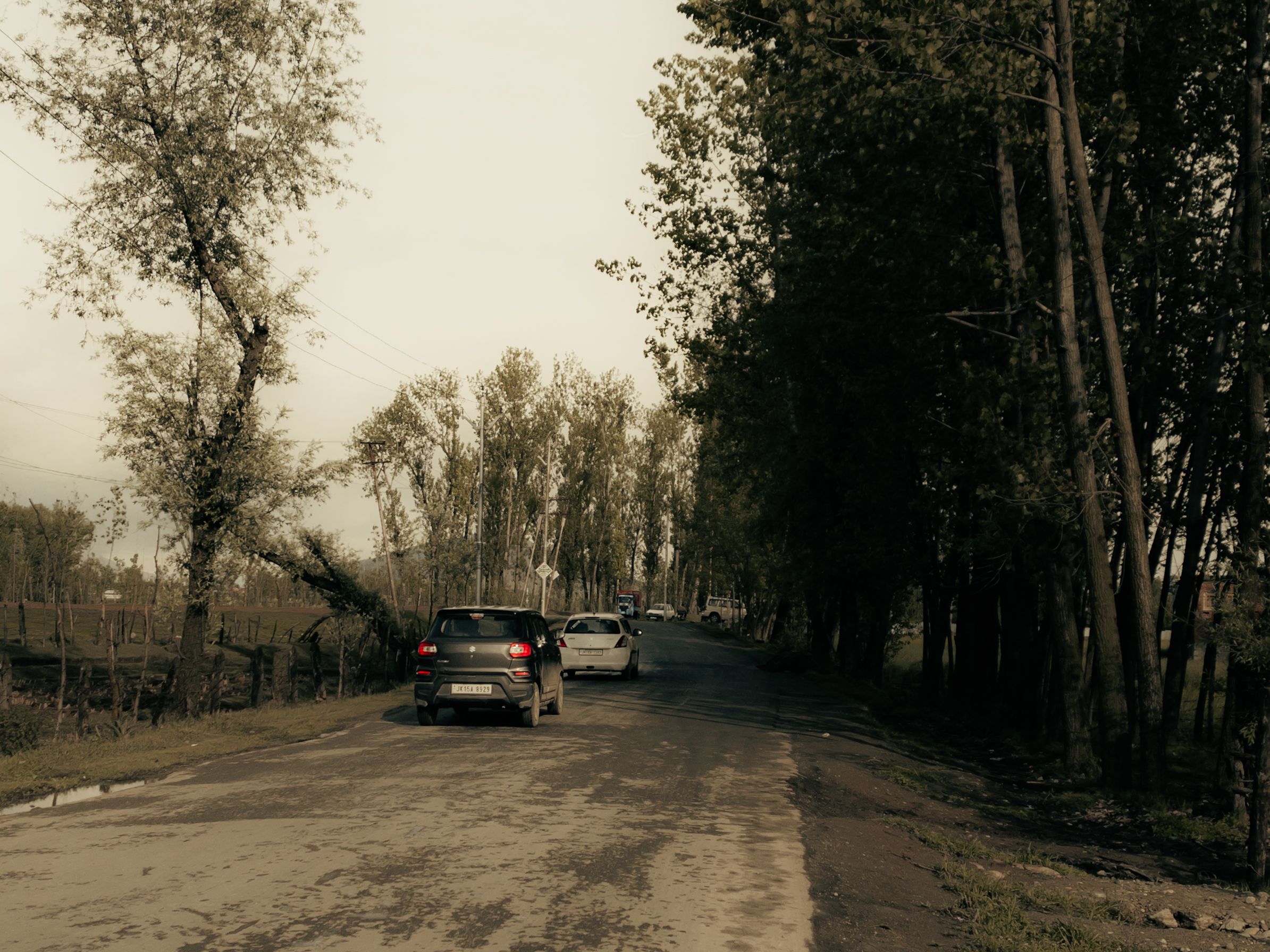 Cars on a Country Road · Free Stock Photo