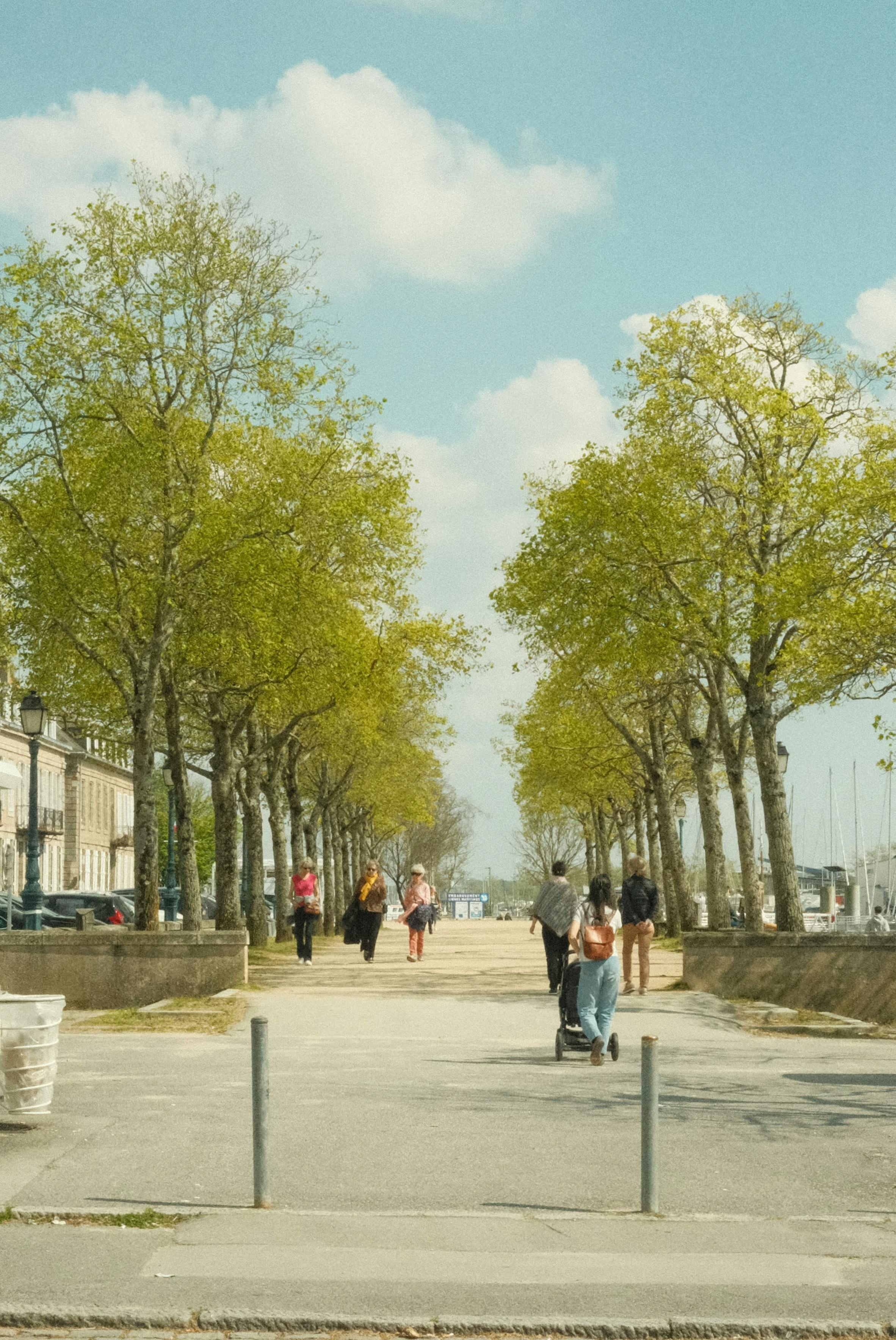 People on Alley with Trees in Town · Free Stock Photo