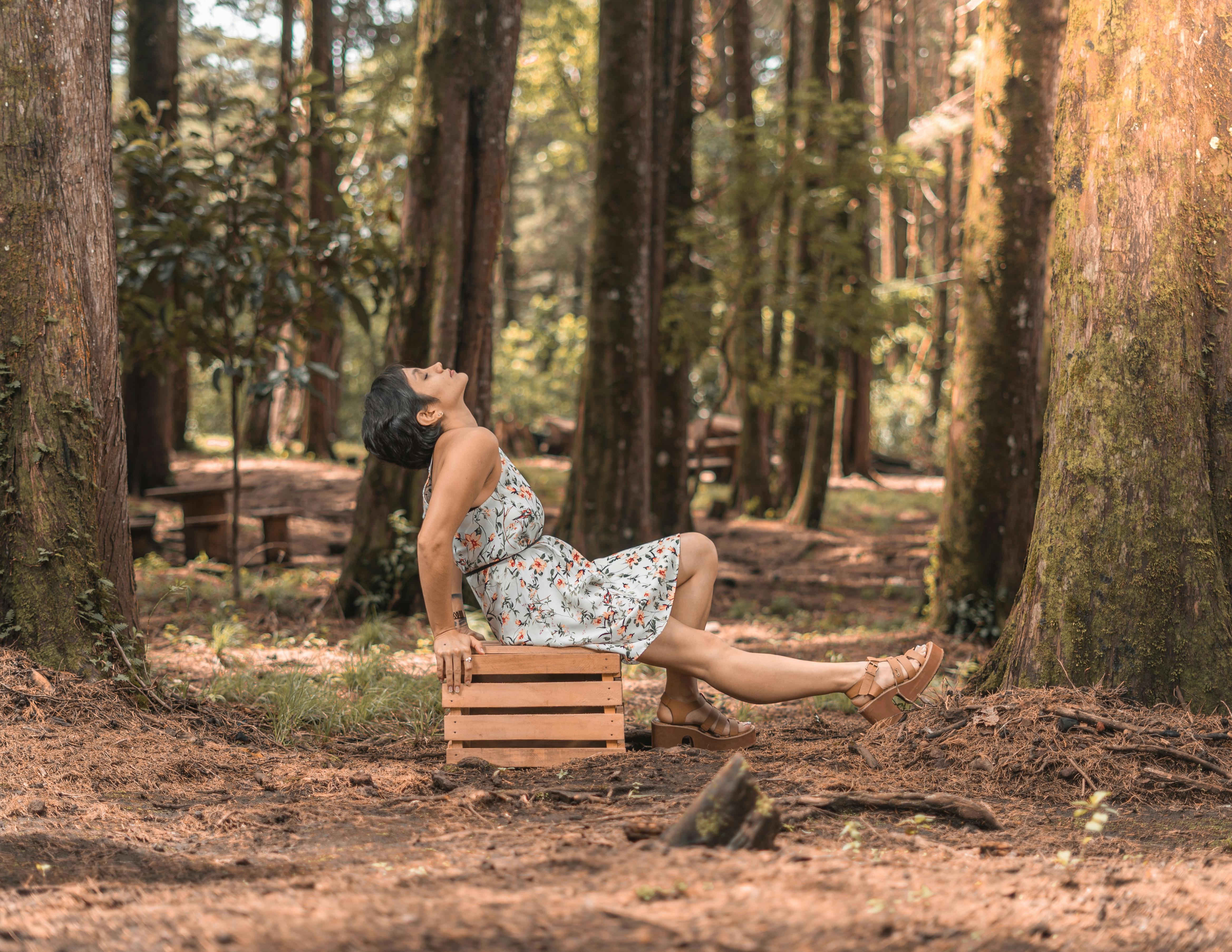 Foto de stock gratuita sobre actitud, al aire libre, arboles, atmósfera ...