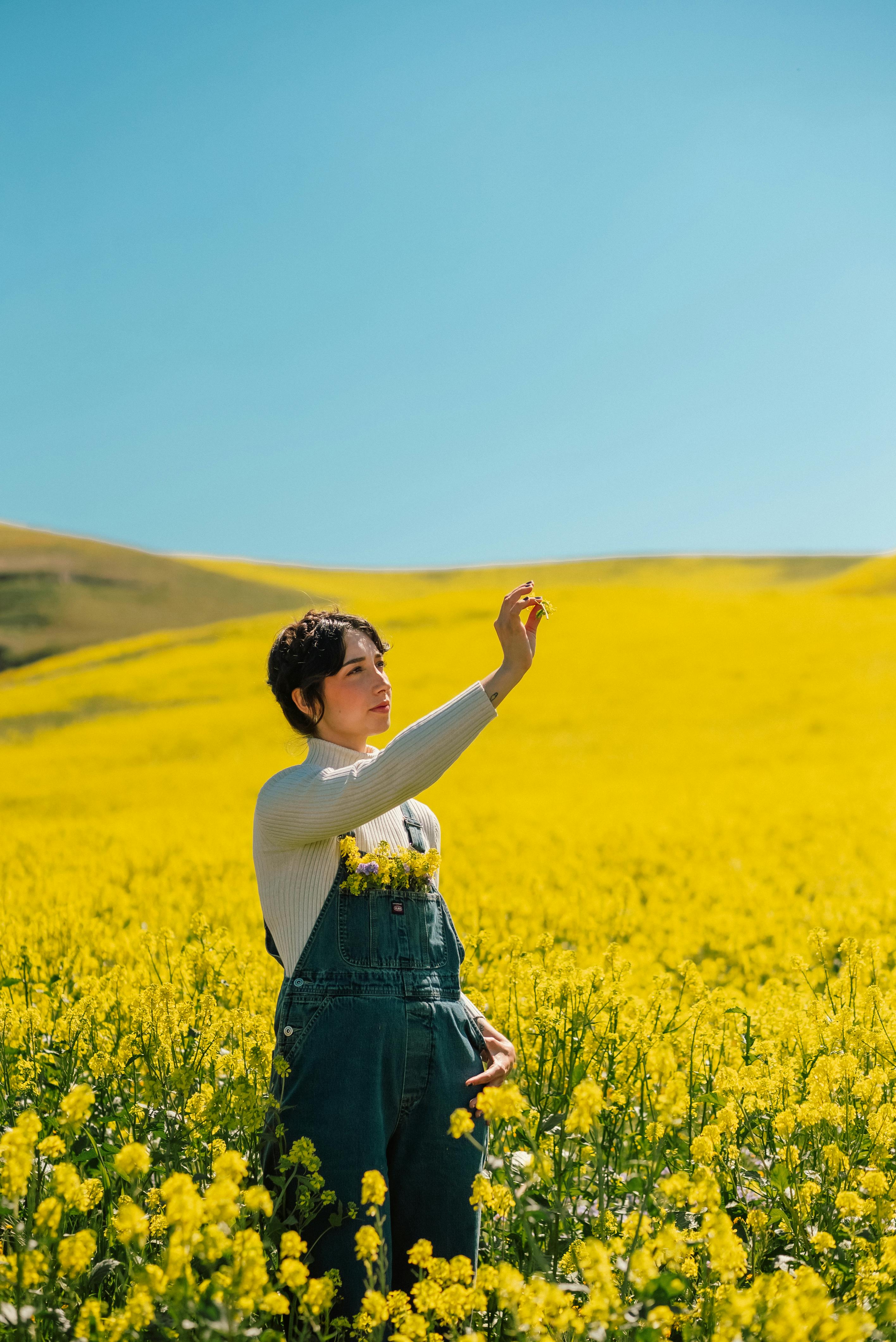 Un, Modelo Femenino, Posar, En, Un, Floreciente, Campo De Flores · Foto ...