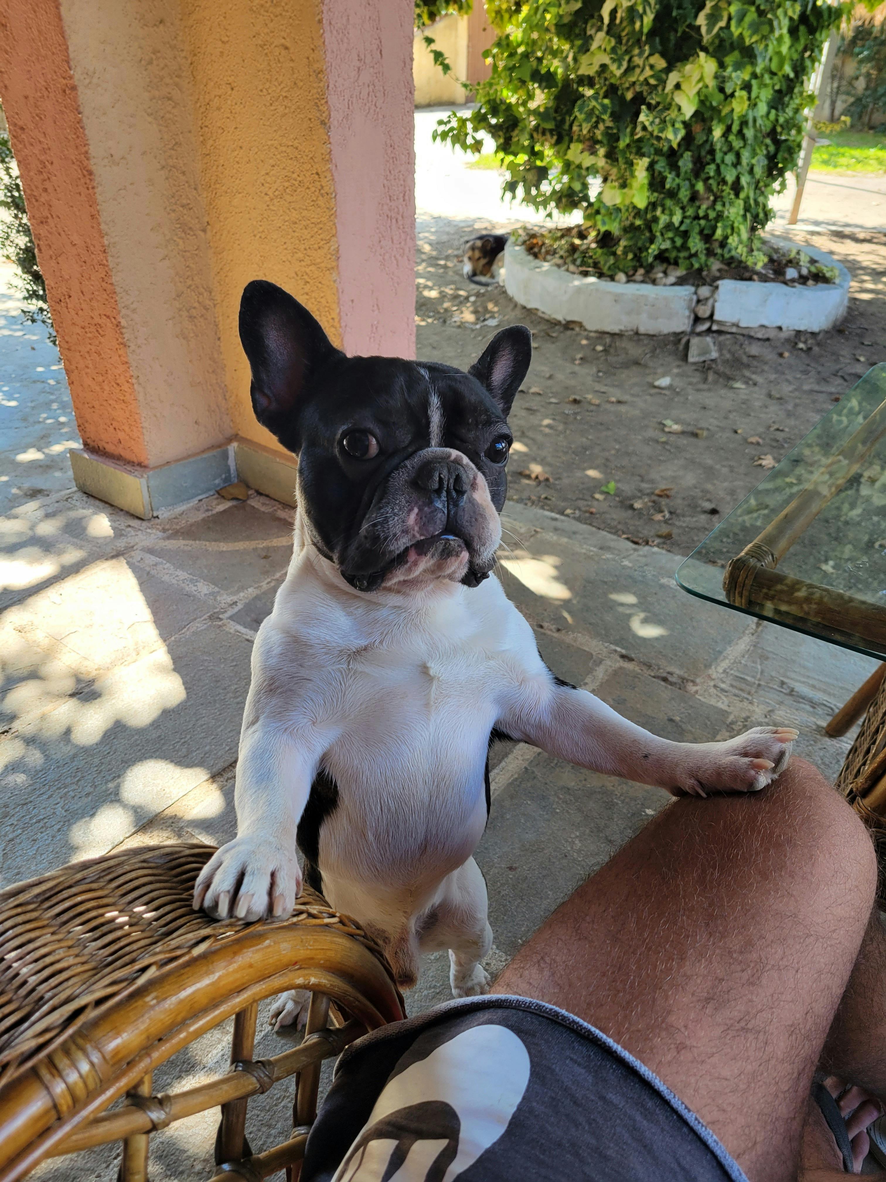 George Markos - Photography