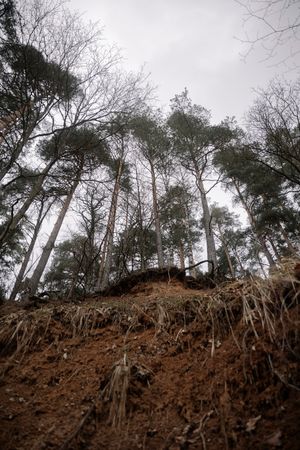 Landslide Photos, Download The BEST Free Landslide Stock Photos & HD Images