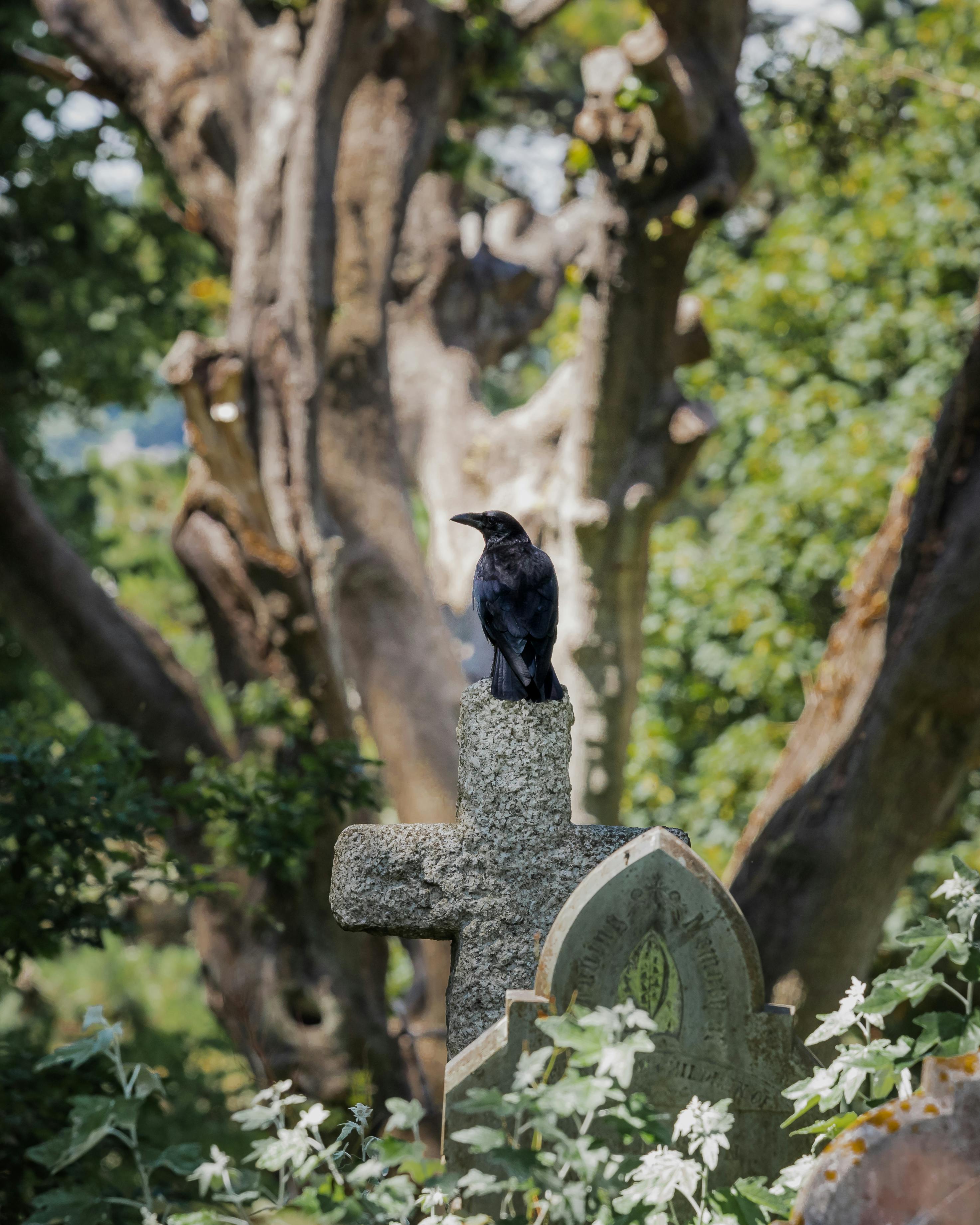 Hell Photos, Download The BEST Free Hell Stock Photos & HD Images