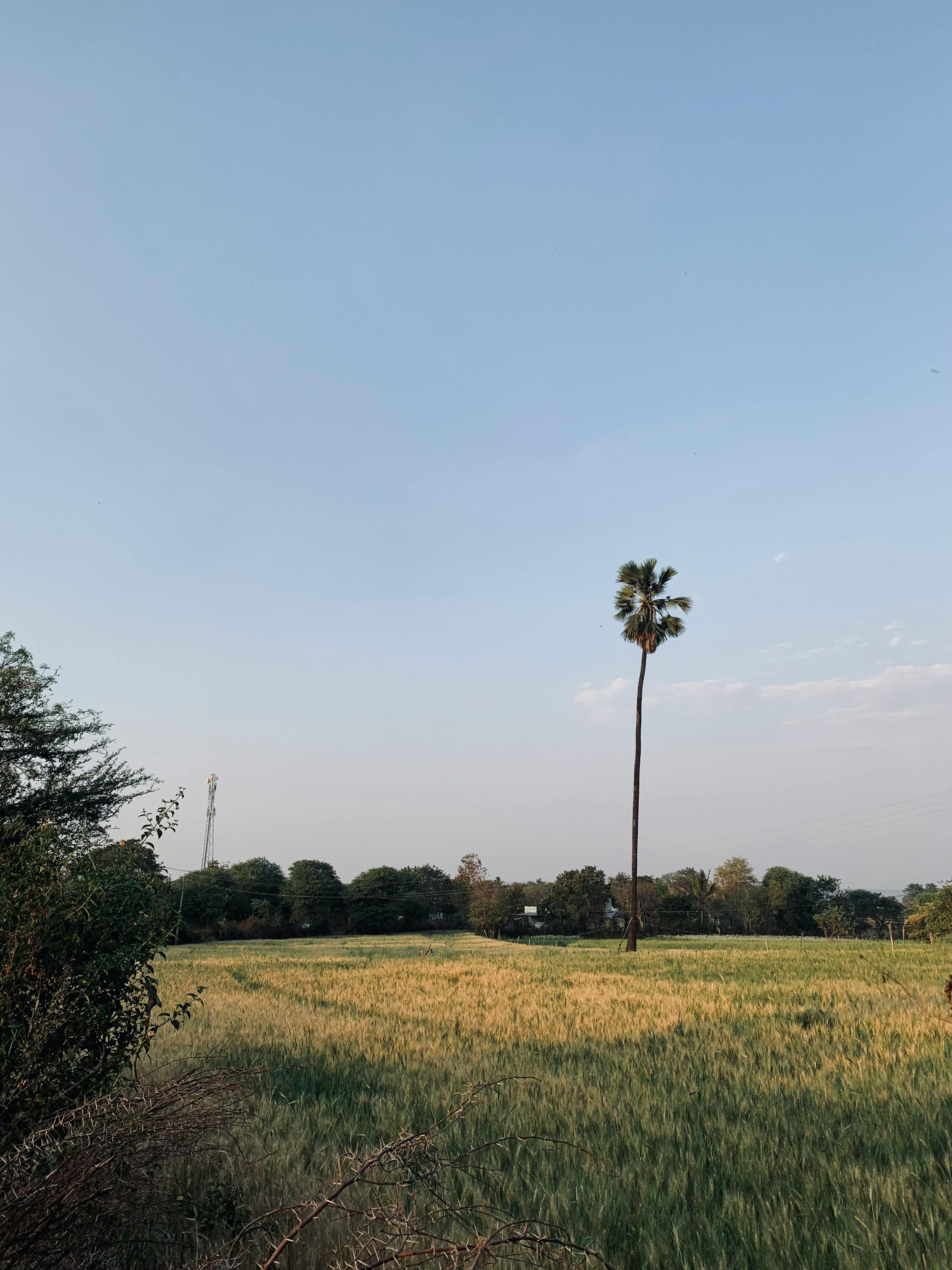 Lone Picture Photos, Download The BEST Free Lone Picture Stock Photos ...