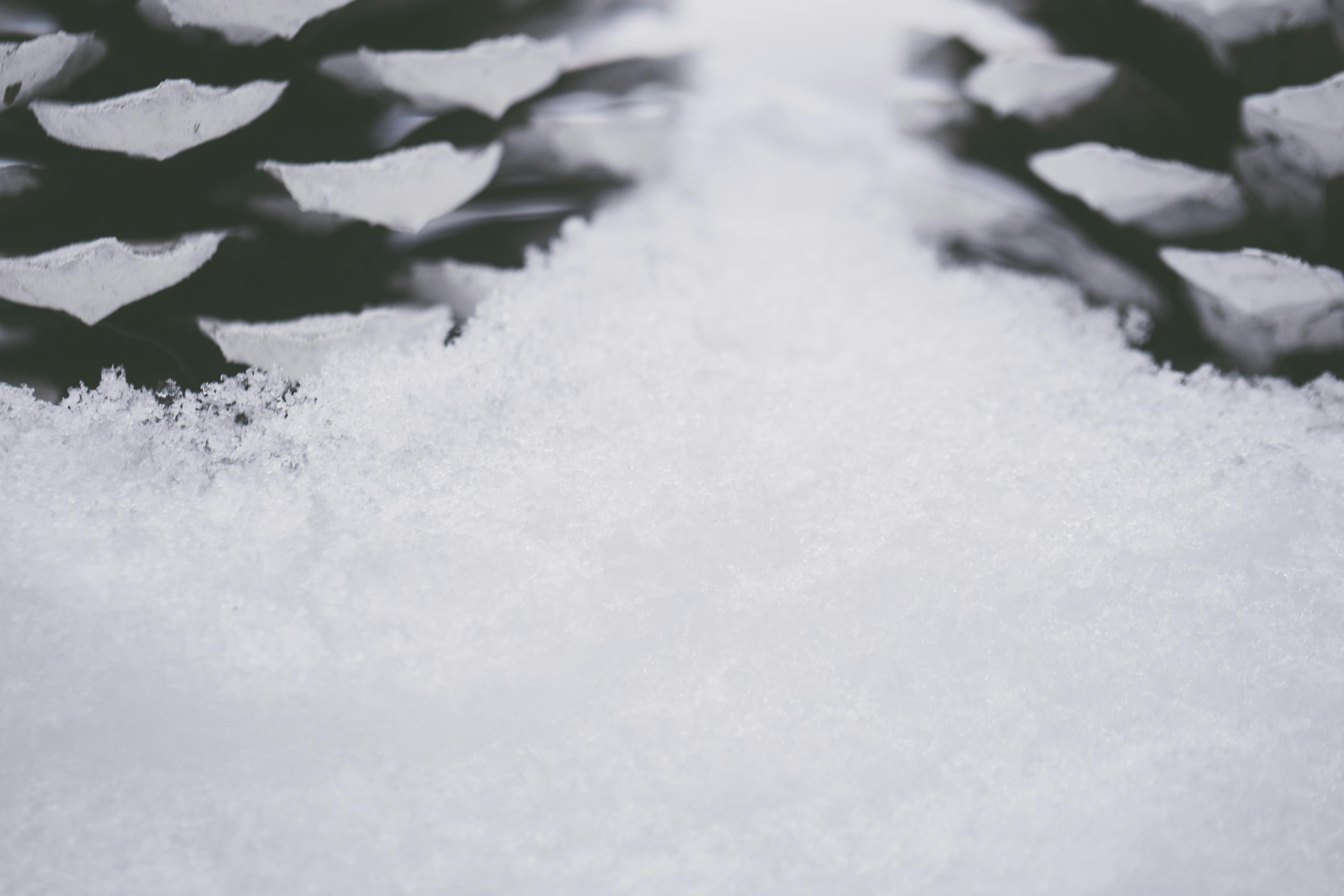 Selective Focus Photo of Snow on Ground · Free Stock Photo