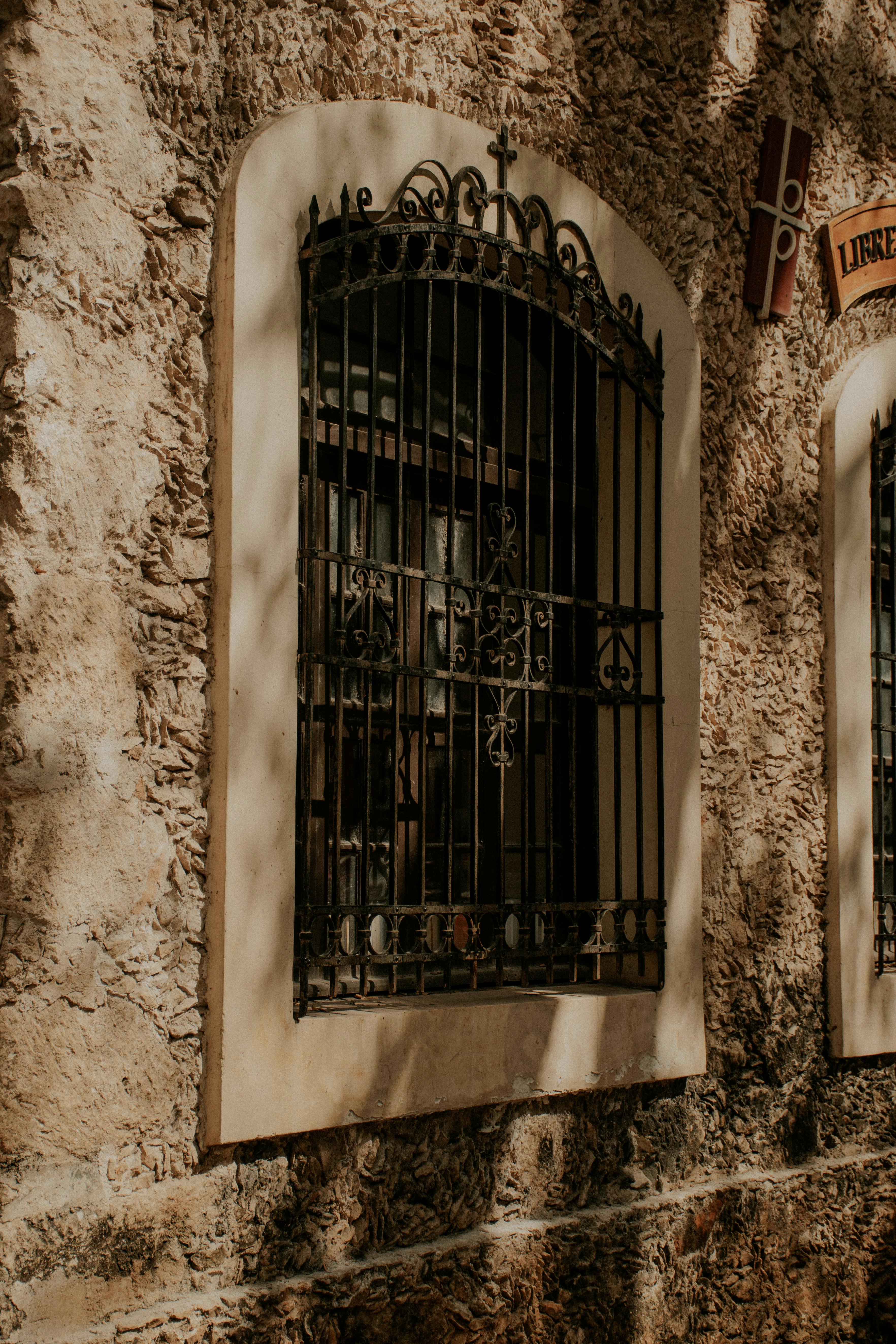 Trellis on a Window · Free Stock Photo