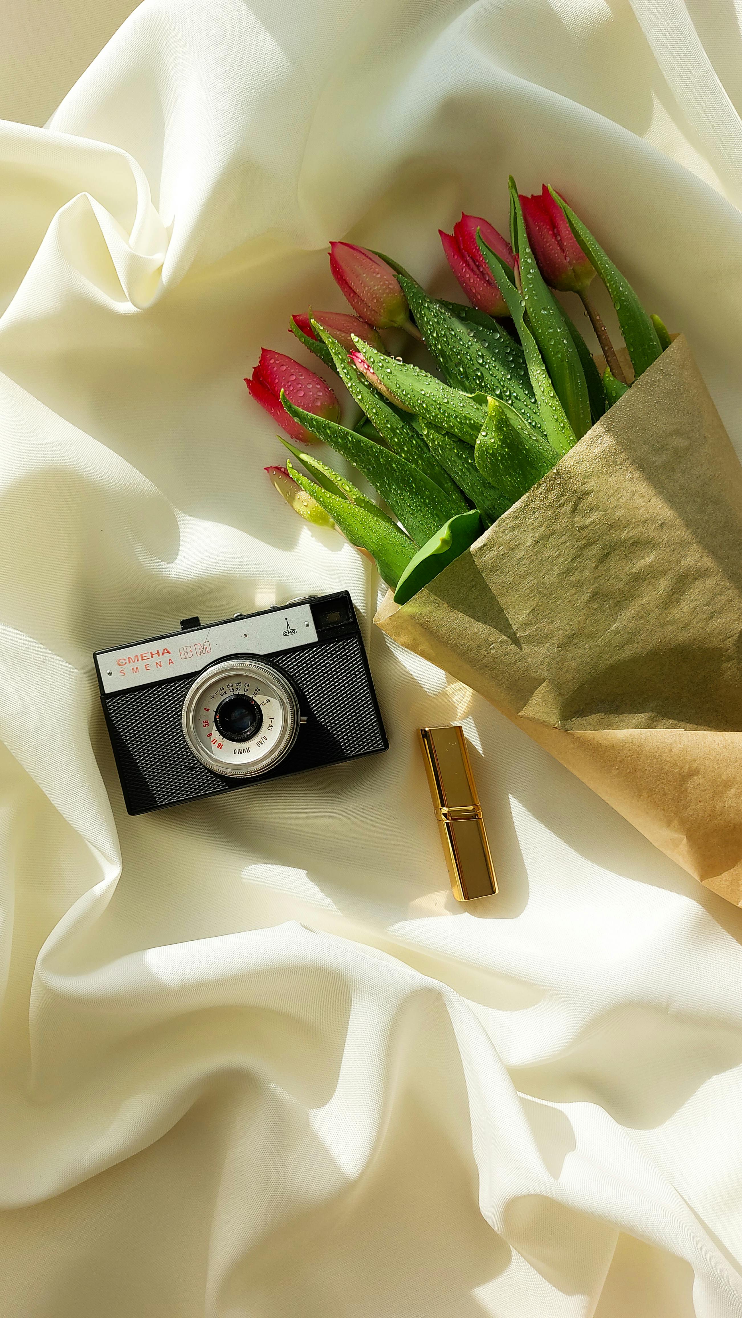 A Vintage Film Camera and a Bunch of Tulips · Free Stock Photo