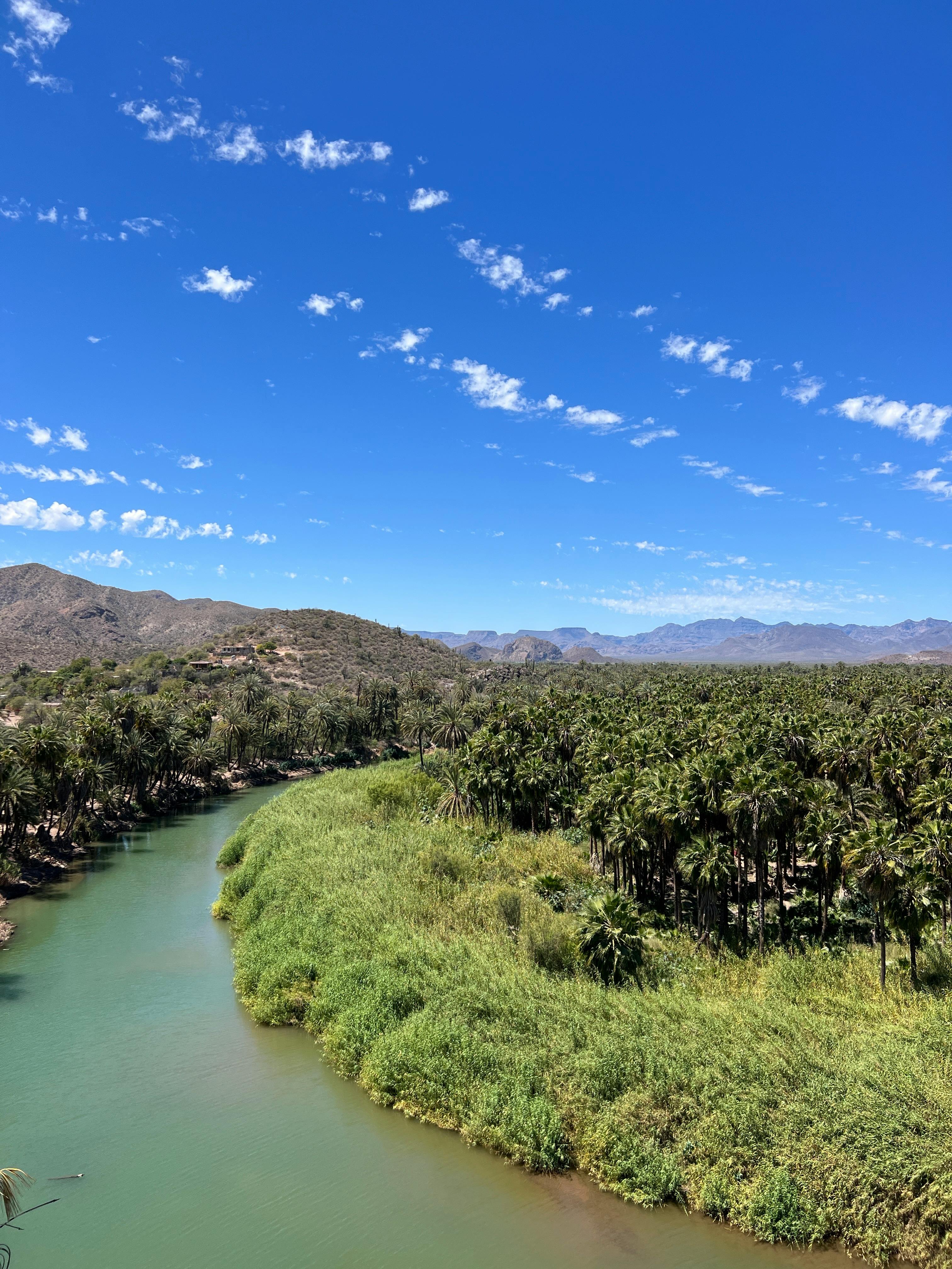 Mulege Photos, Download The BEST Free Mulege Stock Photos & HD Images