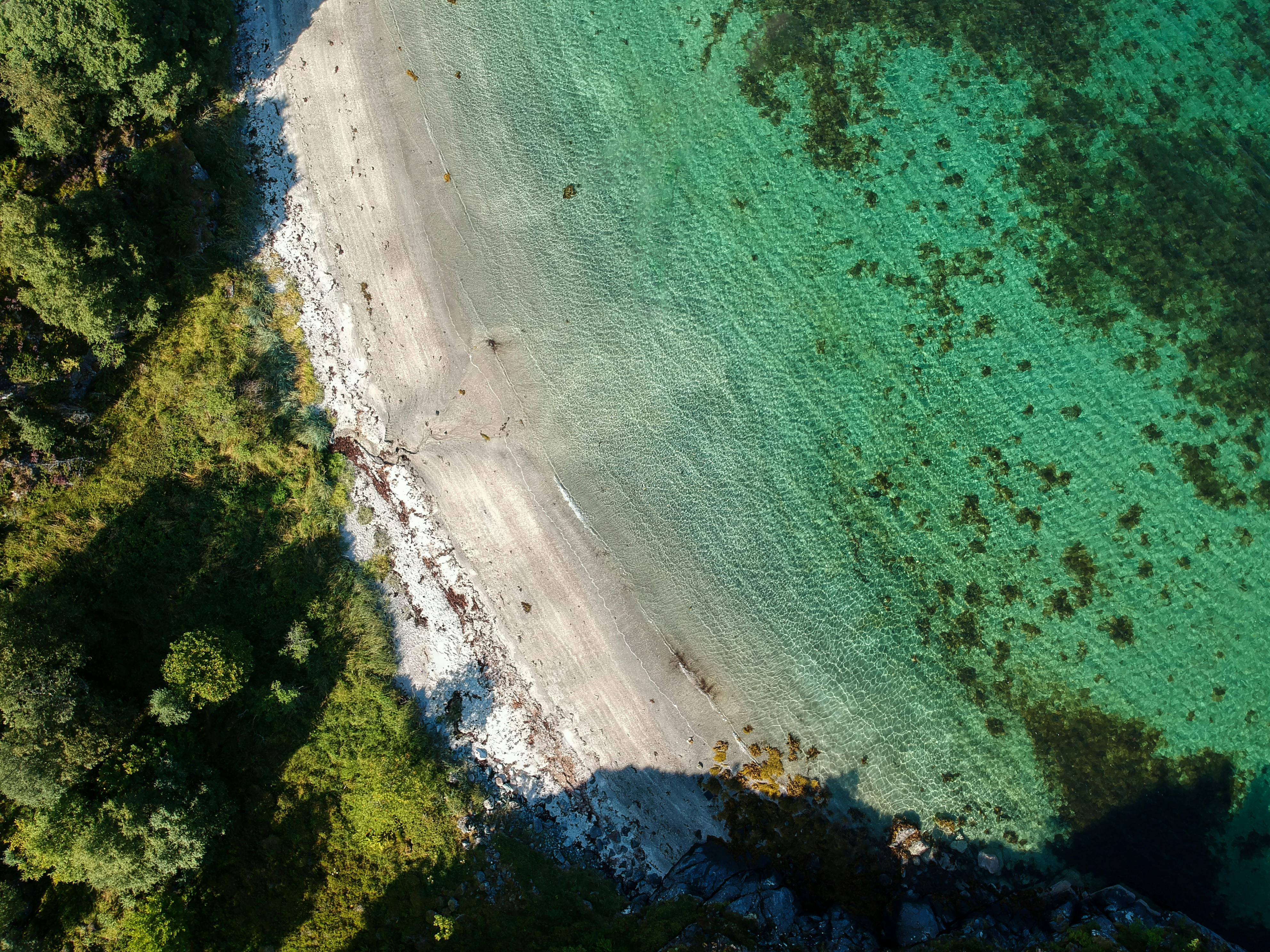 Birds Eye View of Sea Shore · Free Stock Photo