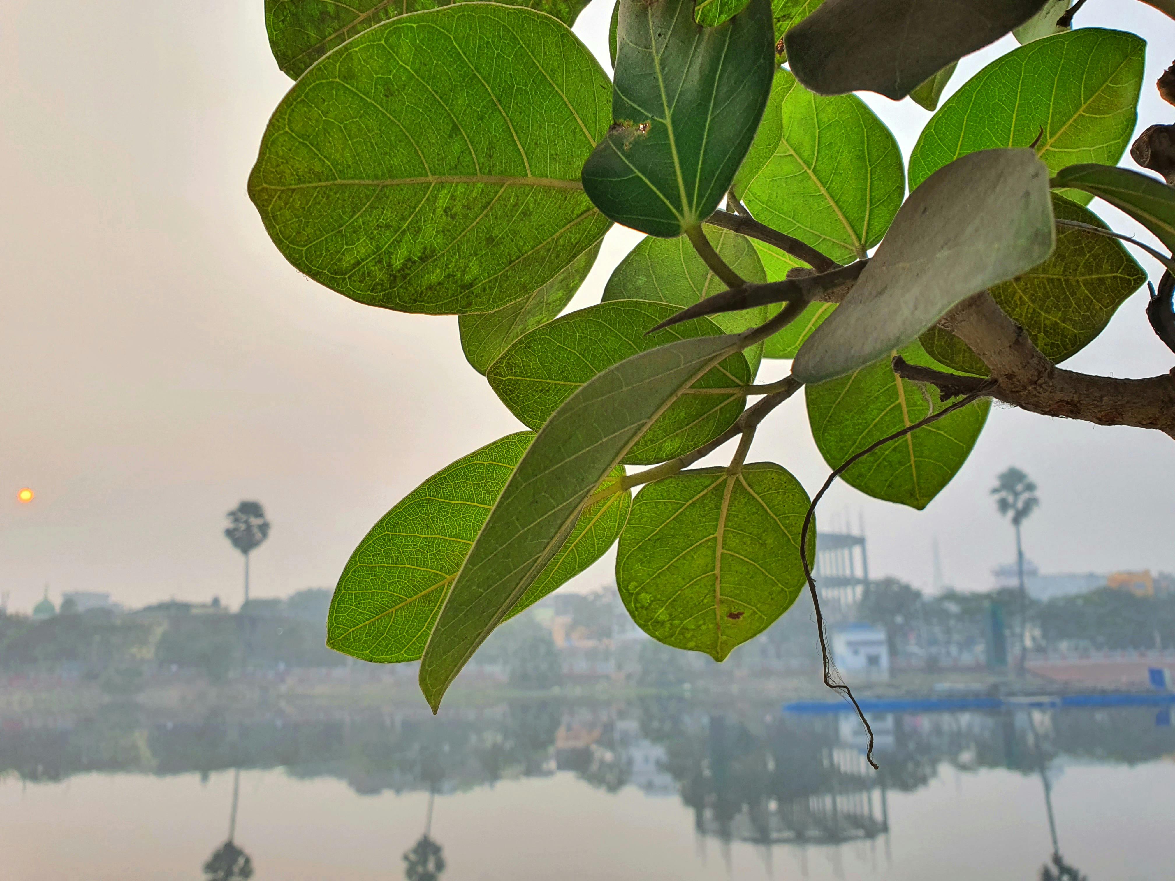 Mohammad Ibrahim - Photography