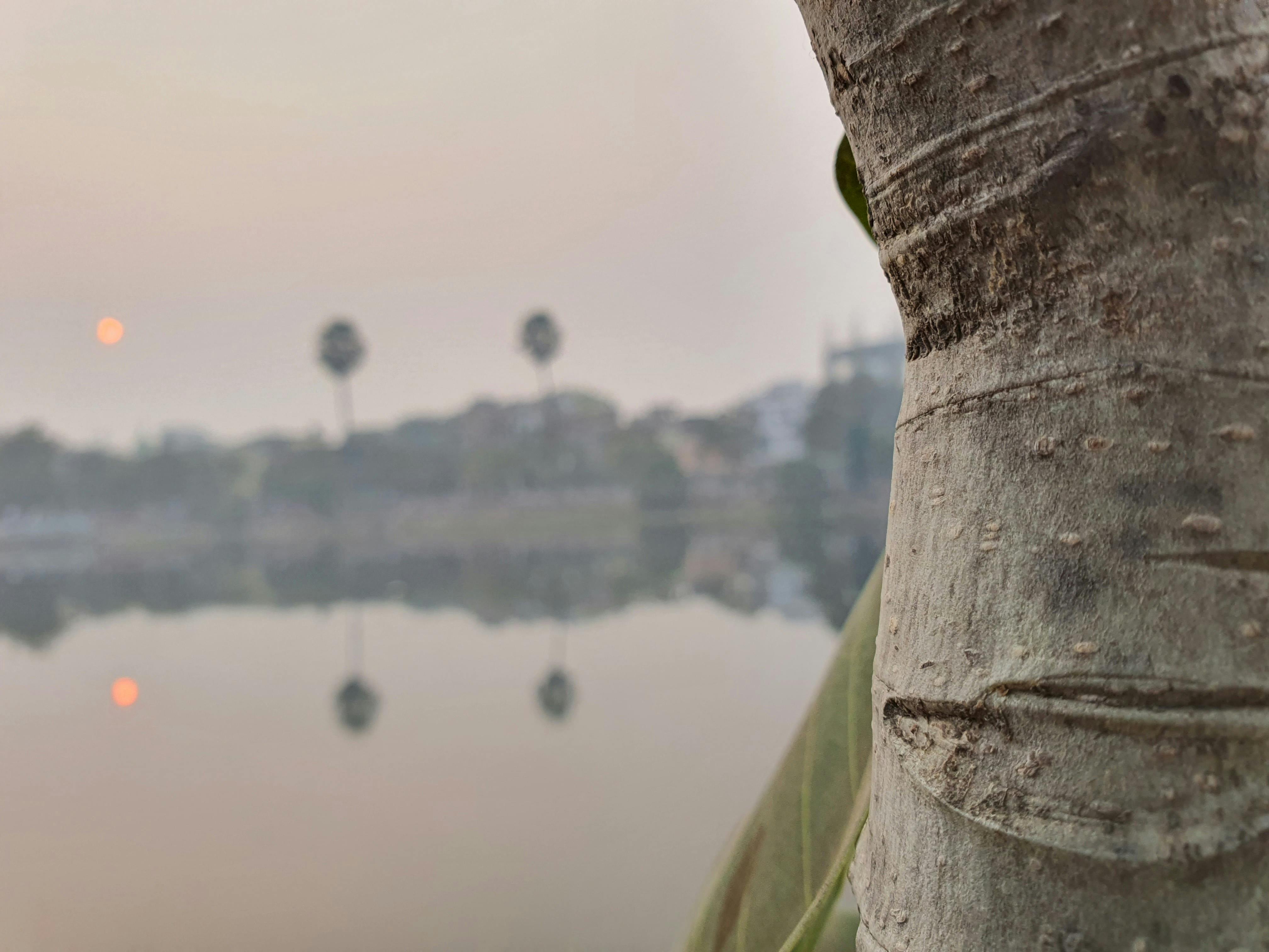 Mohammad Ibrahim - Photography