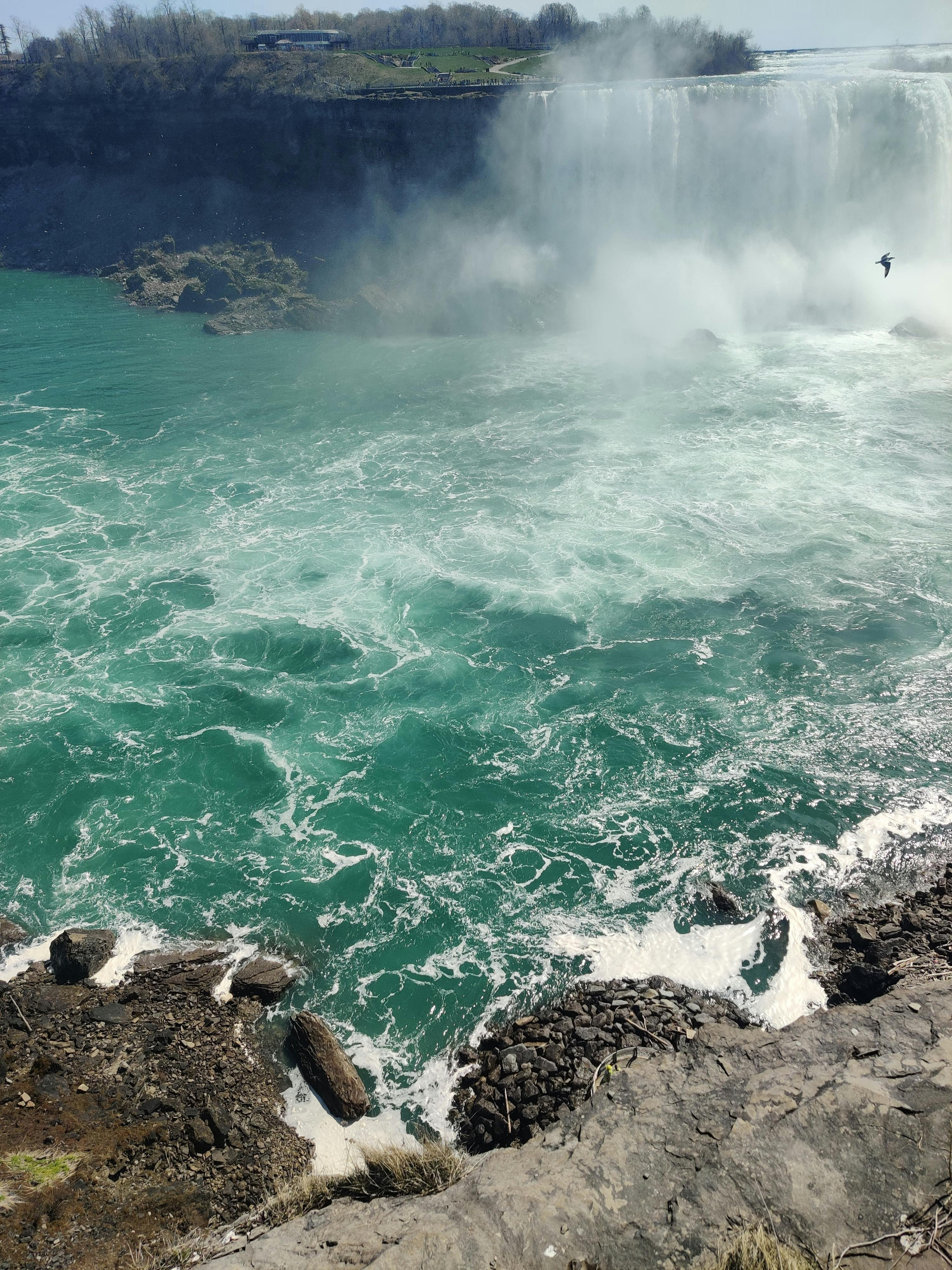 Niagara Falls · Free Stock Photo