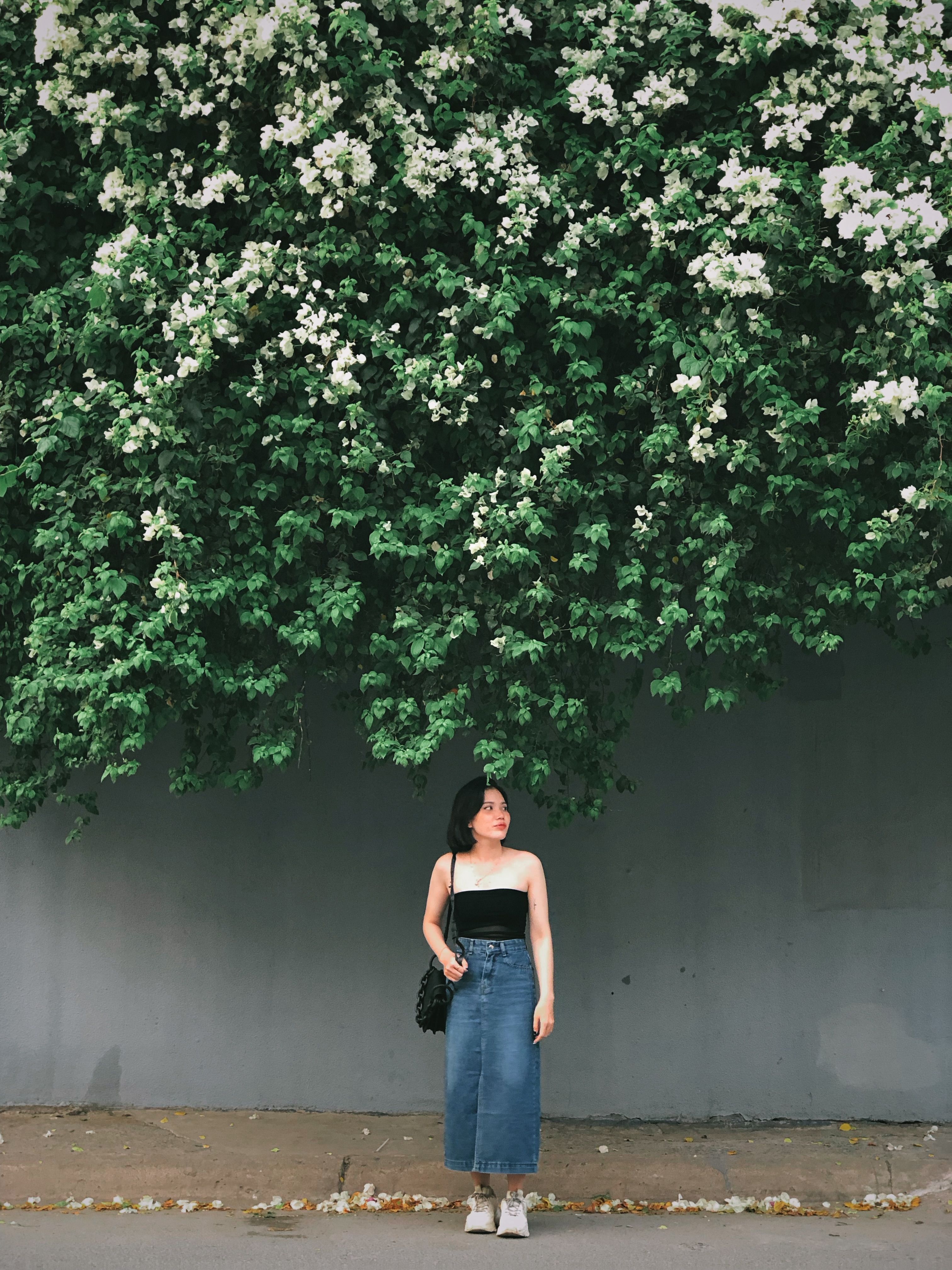 Trees by White Building Wall · Free Stock Photo