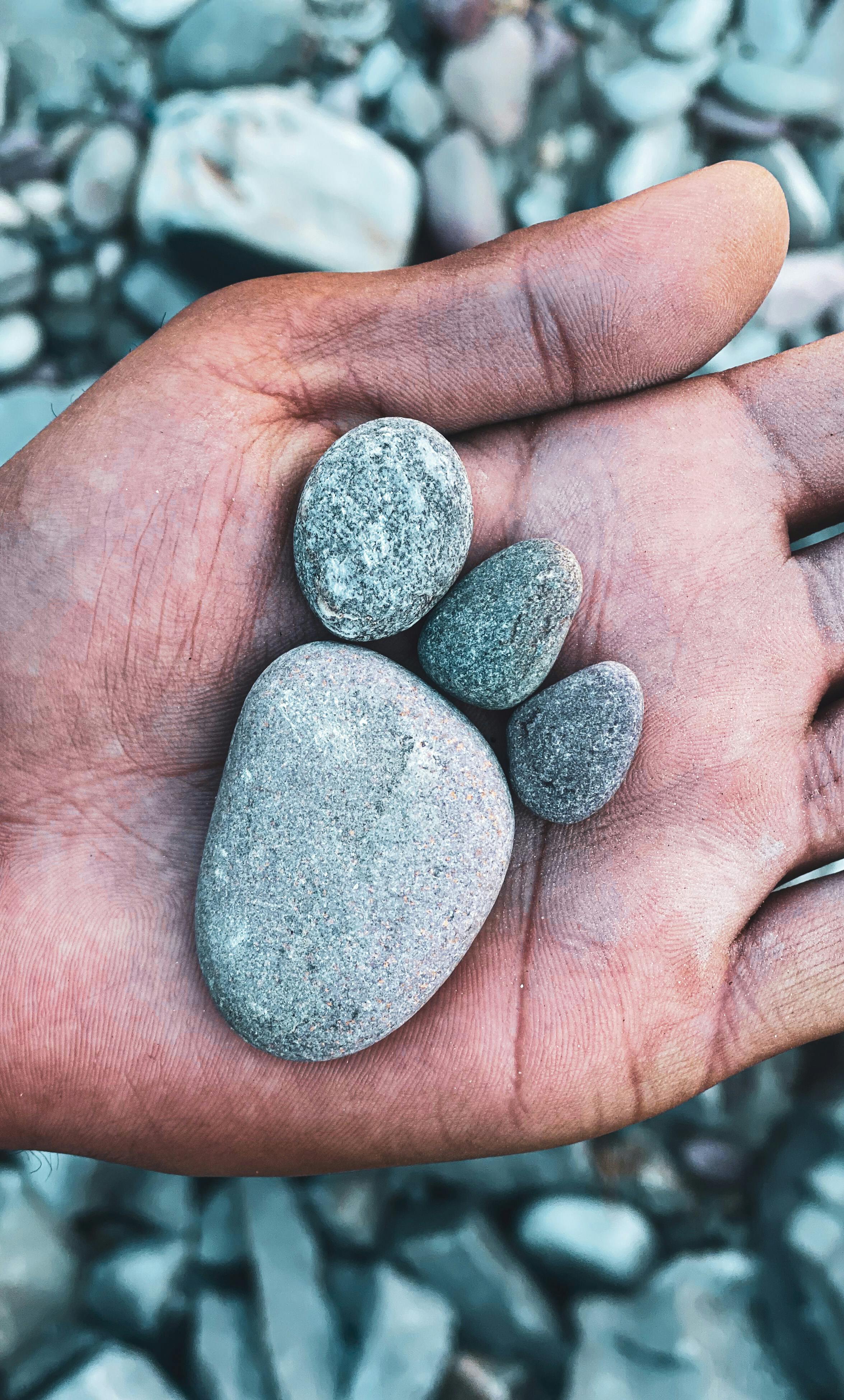 Hand Holding Rocks · Free Stock Photo