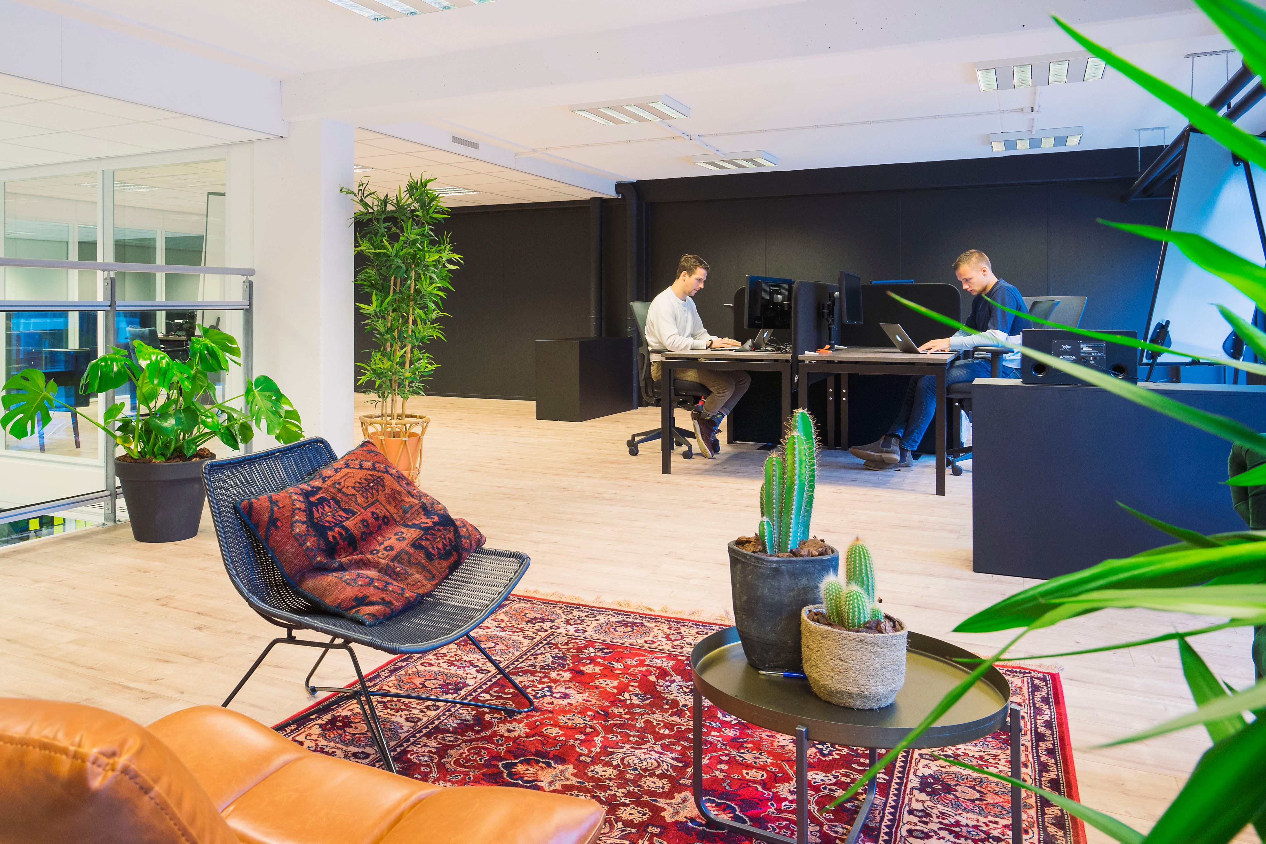 Kostenloses Foto zum Thema: arbeiten, büro, büro-menschen