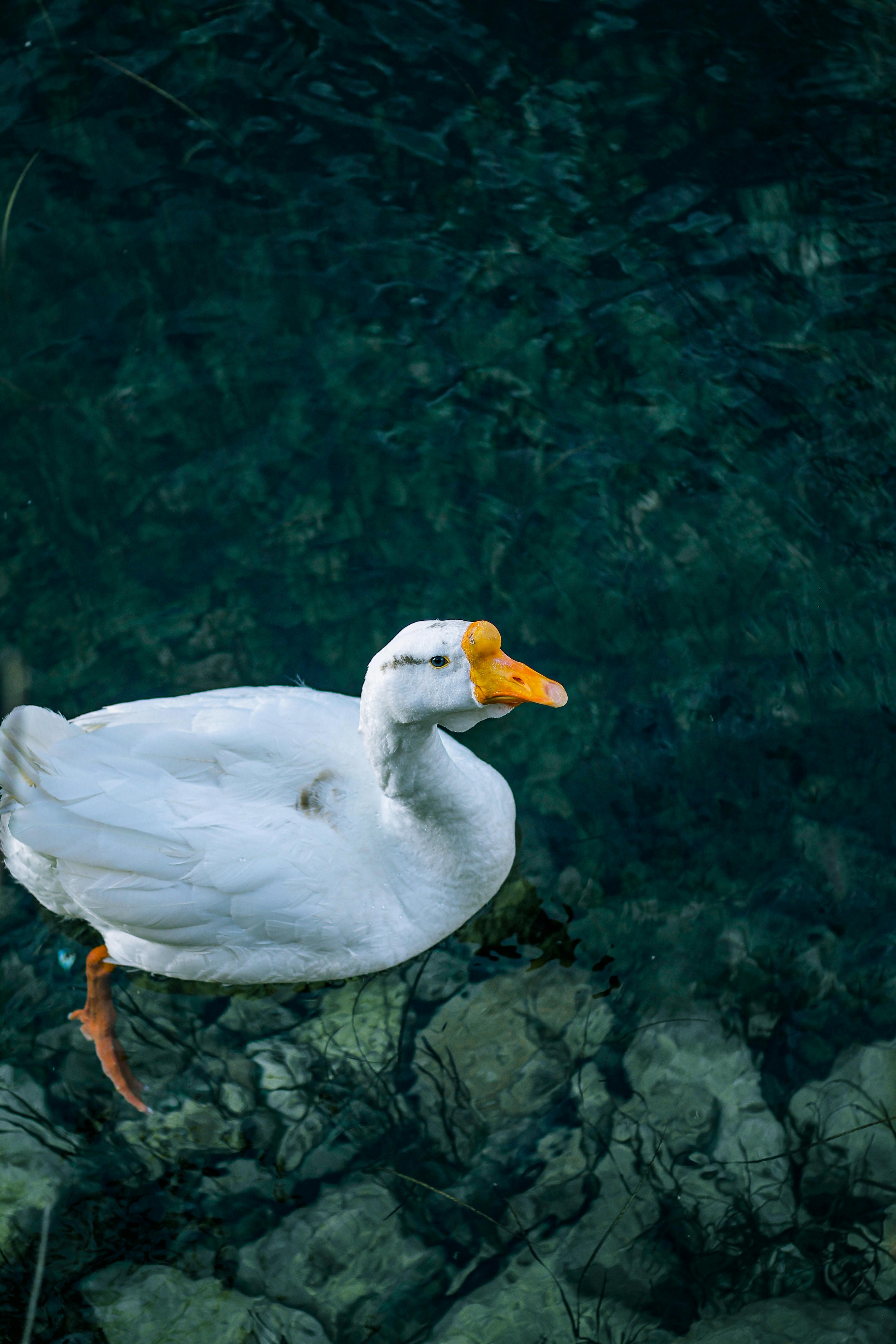 Water Rationing Photos, Download The BEST Free Water Rationing Stock ...