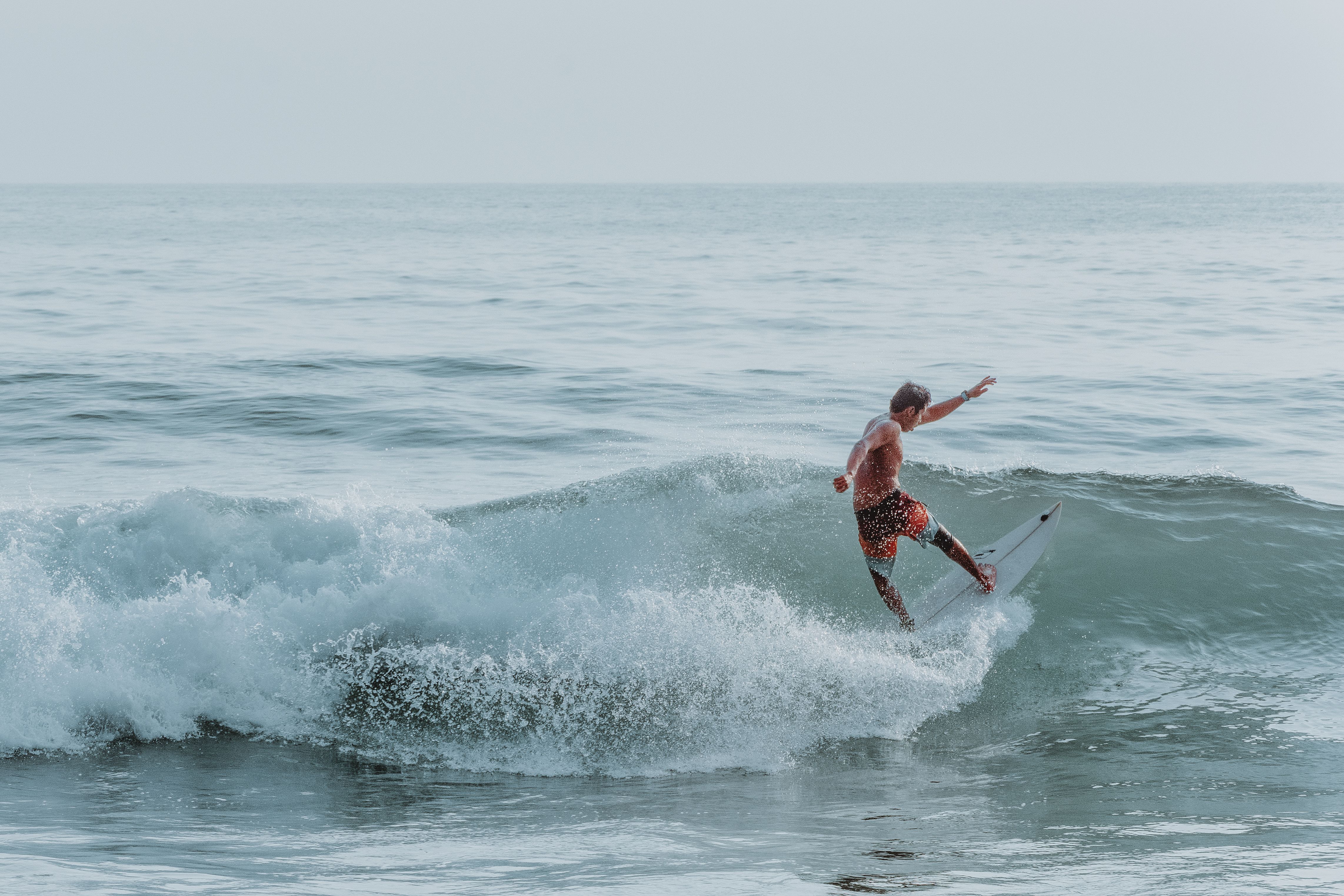 Surfer on Sea Wave · Free Stock Photo