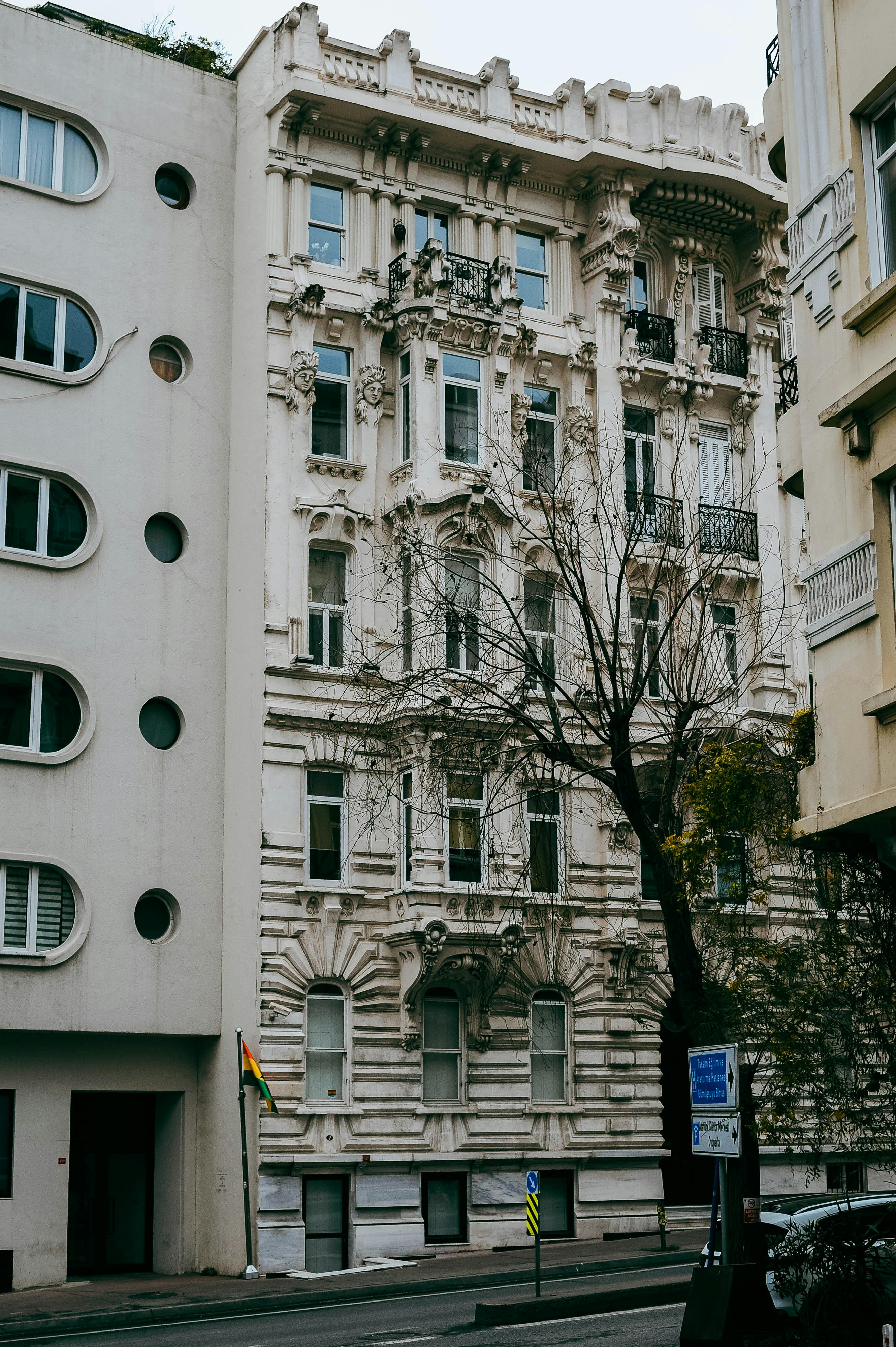 Tree near Buildings · Free Stock Photo