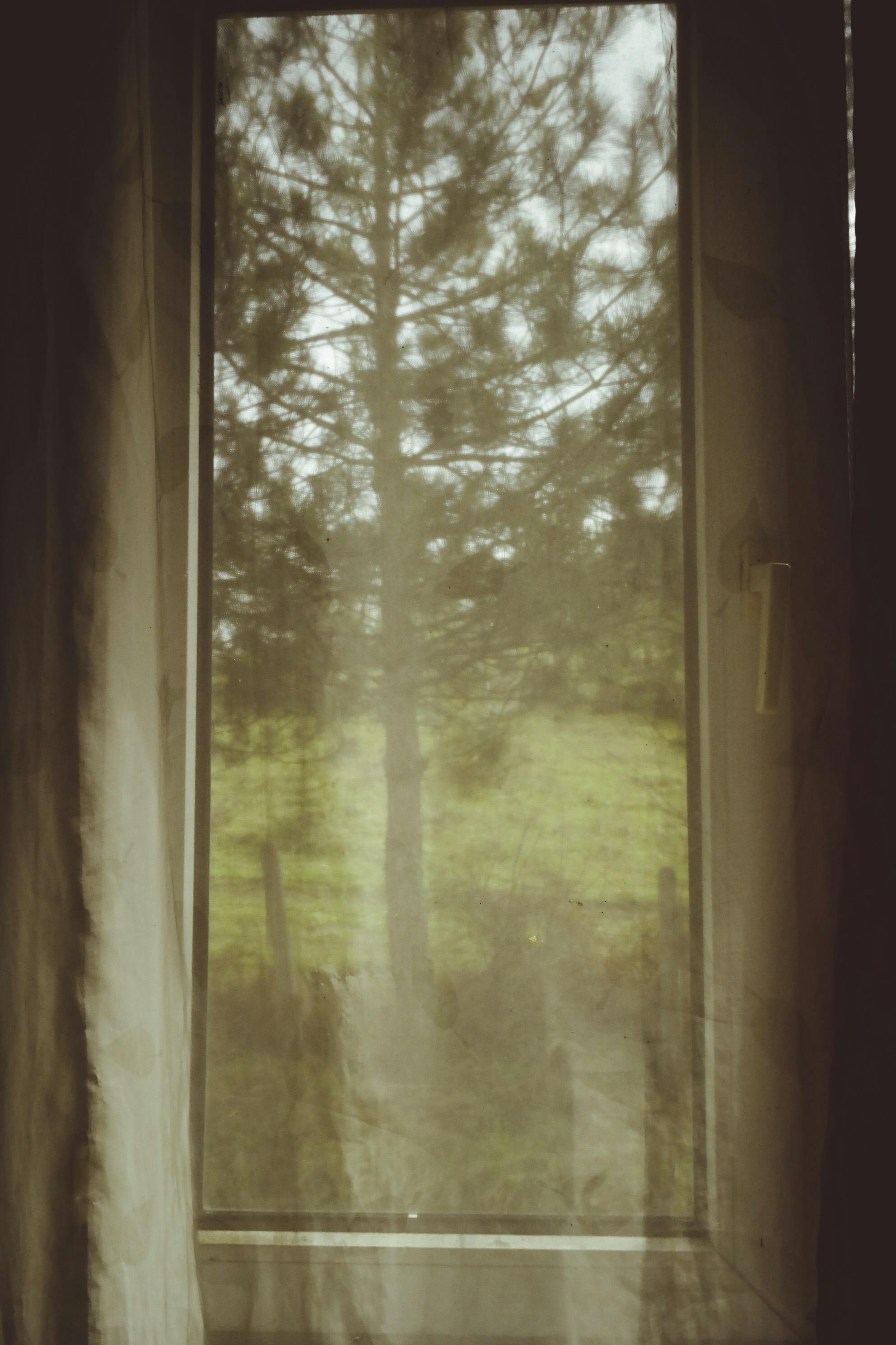 Rural Field Seen through Window · Free Stock Photo