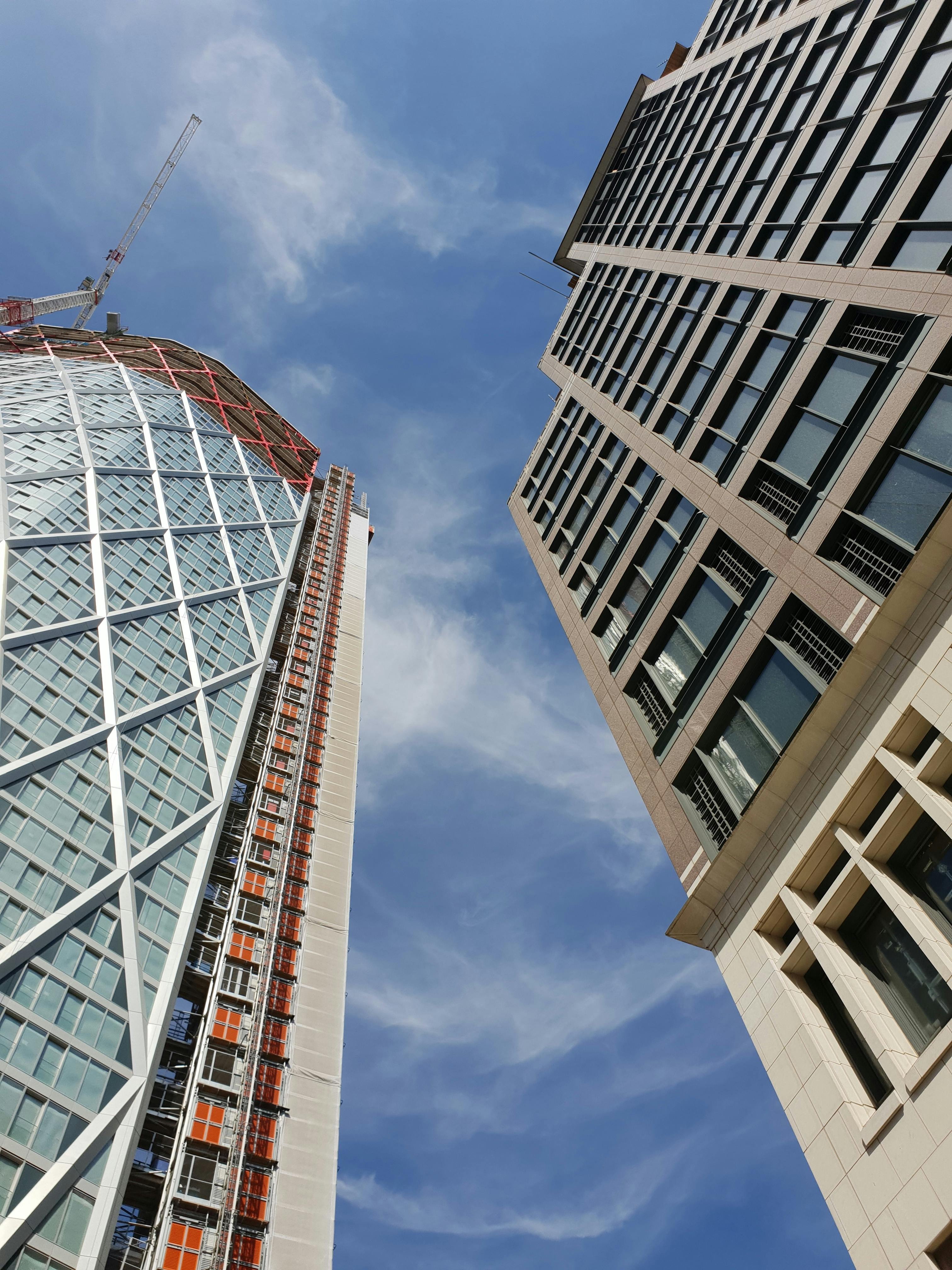 Carol-Ann Higham - 写真