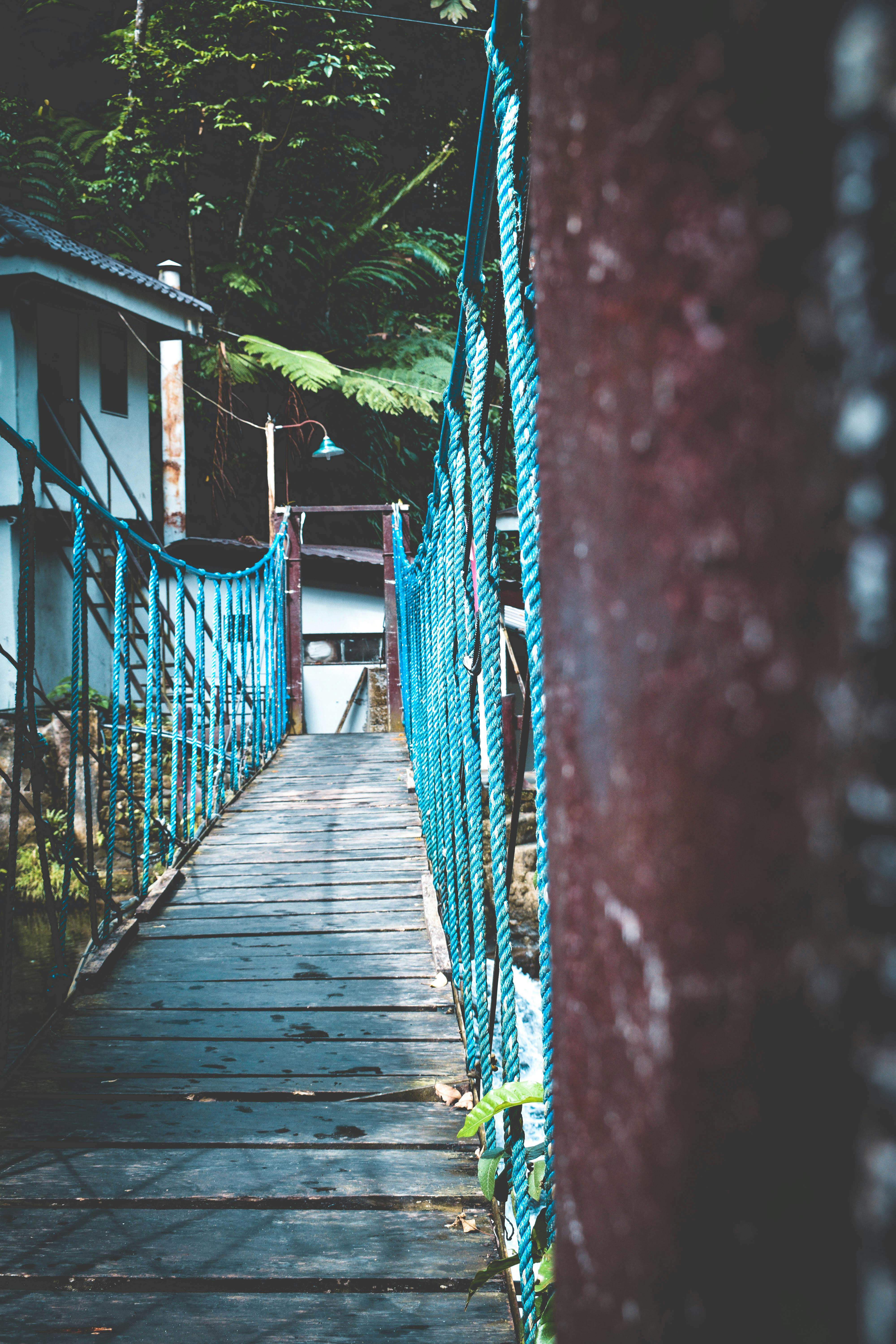 Shibari Ropes Photos, Download Free Shibari Ropes Stock Photos & HD Images