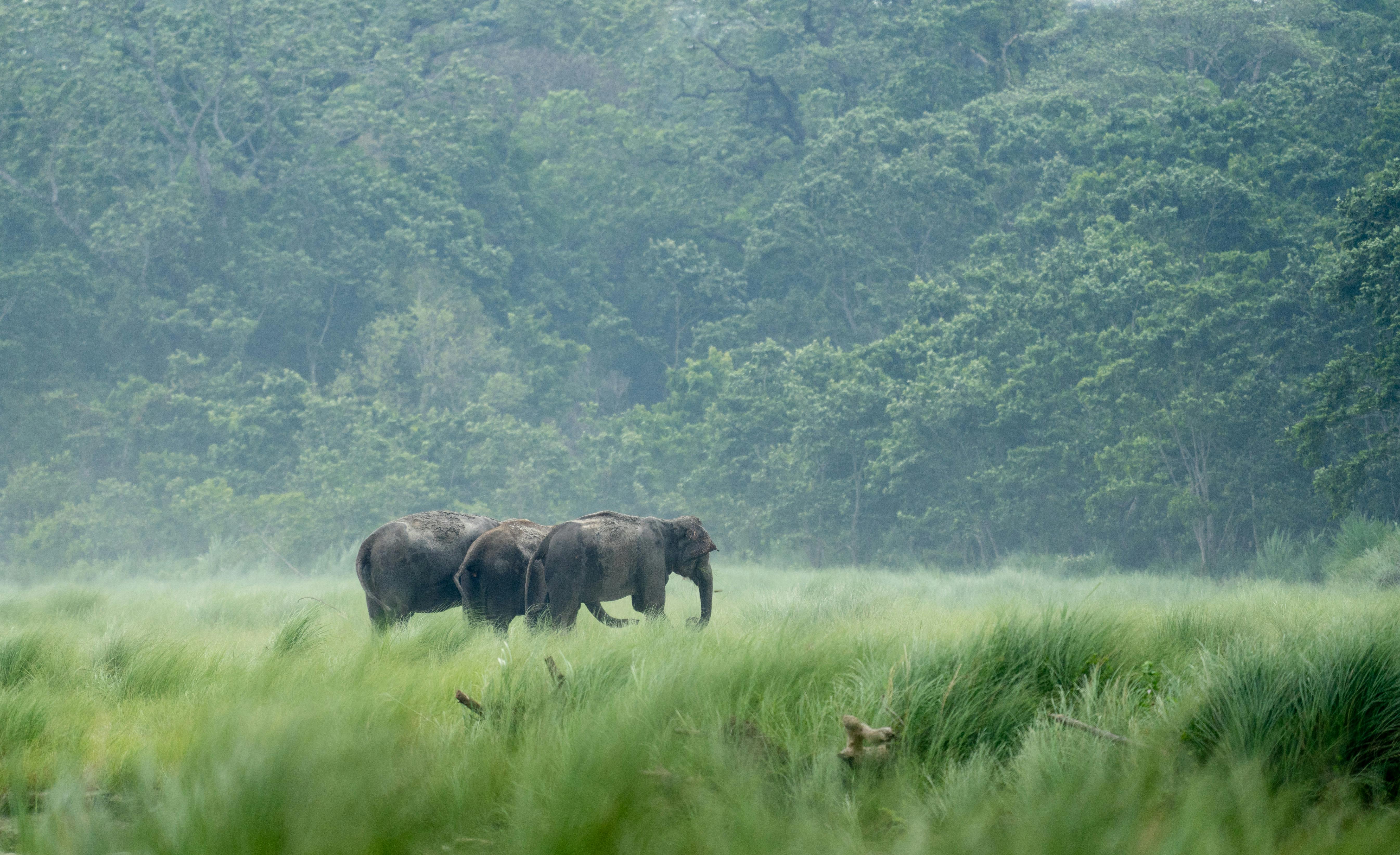 Sauth Africa Photos, Download The BEST Free Sauth Africa Stock Photos ...