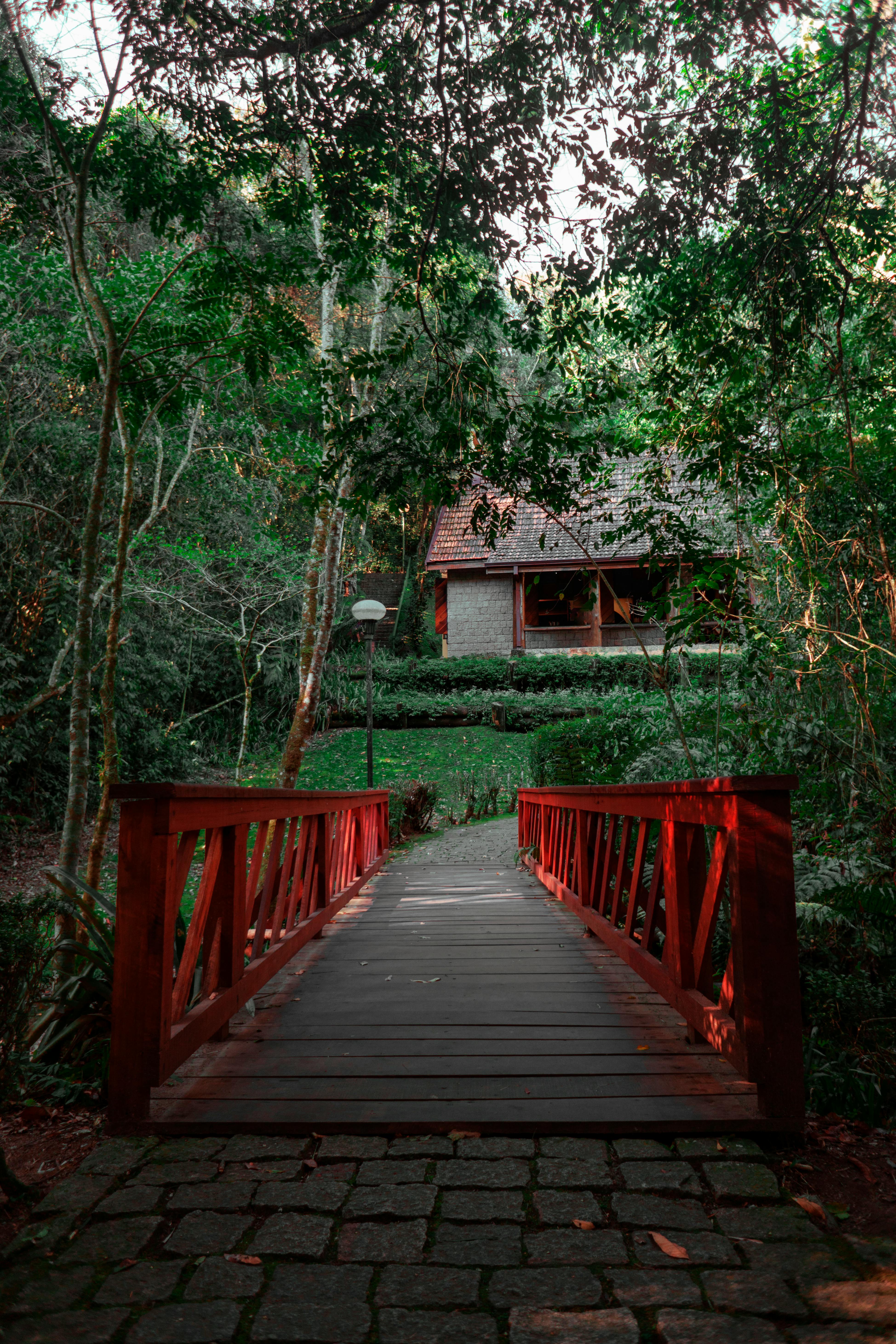 Wooden Footbridge with Railings · Free Stock Photo