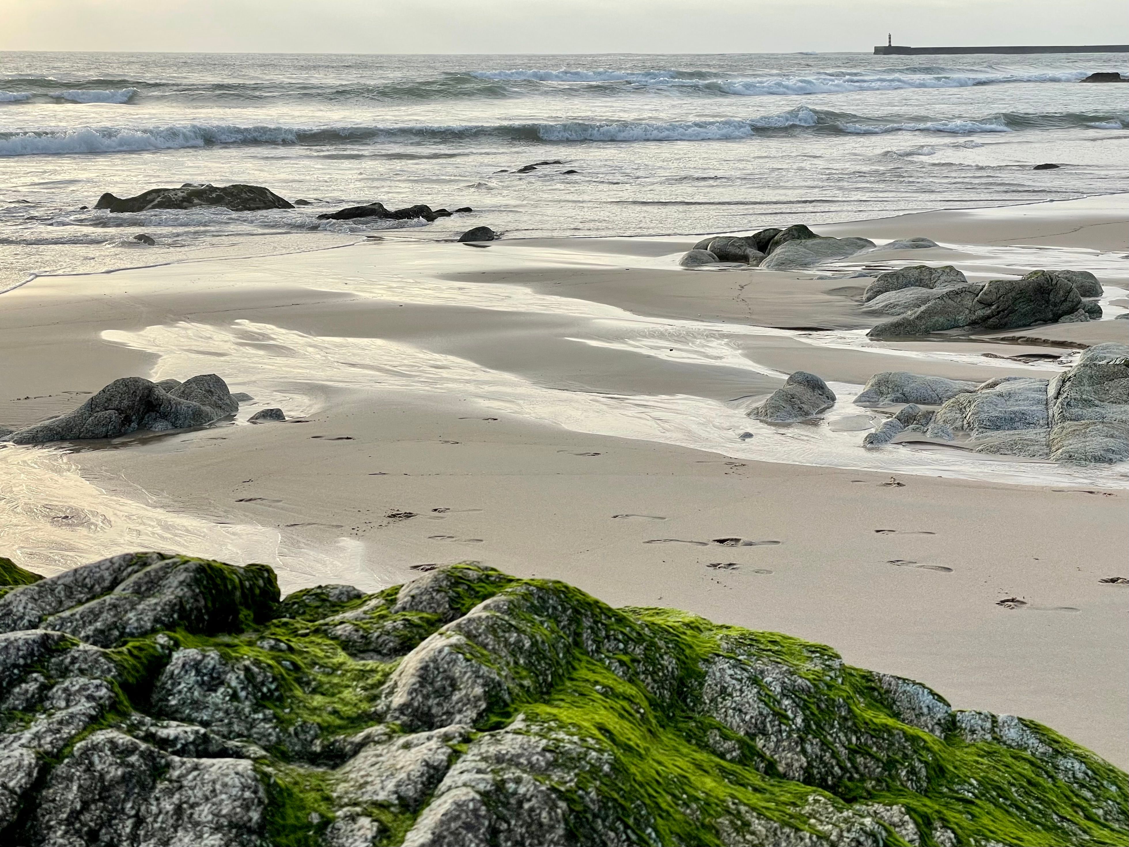 Boulders on the Beach on the Seashore · Free Stock Photo