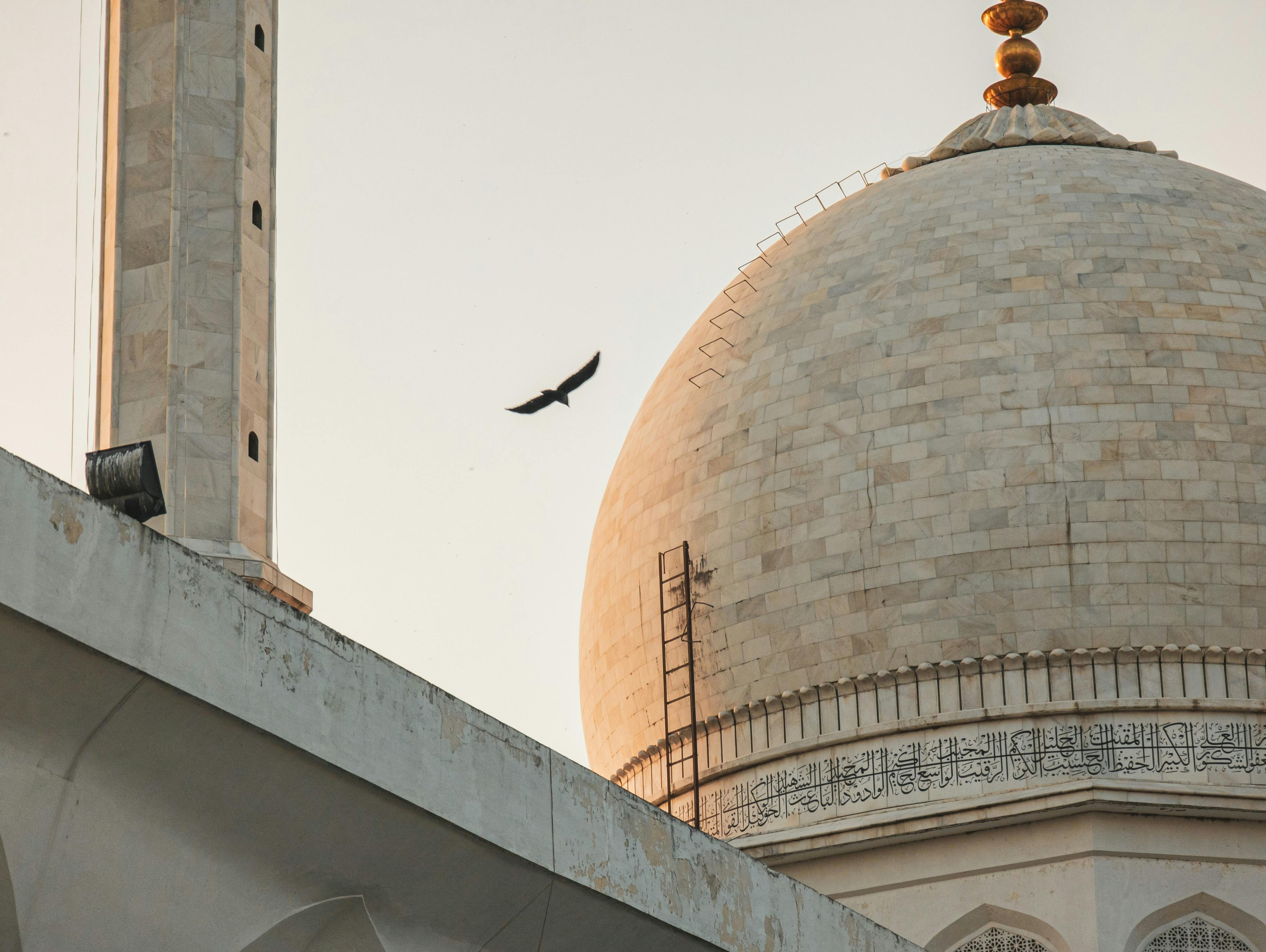 Dome of Mosque · Free Stock Photo