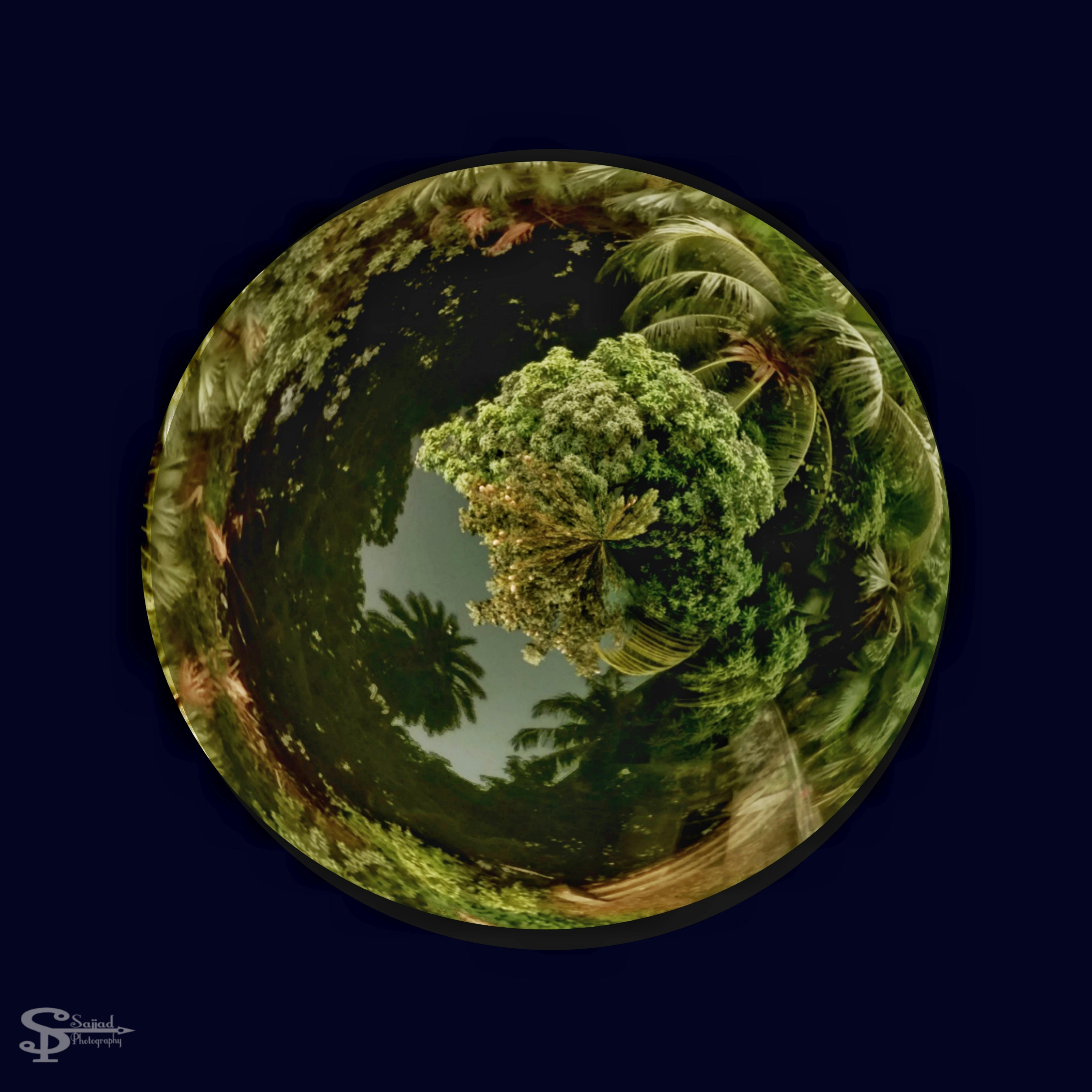 Md Sajjad Hossain · Photography