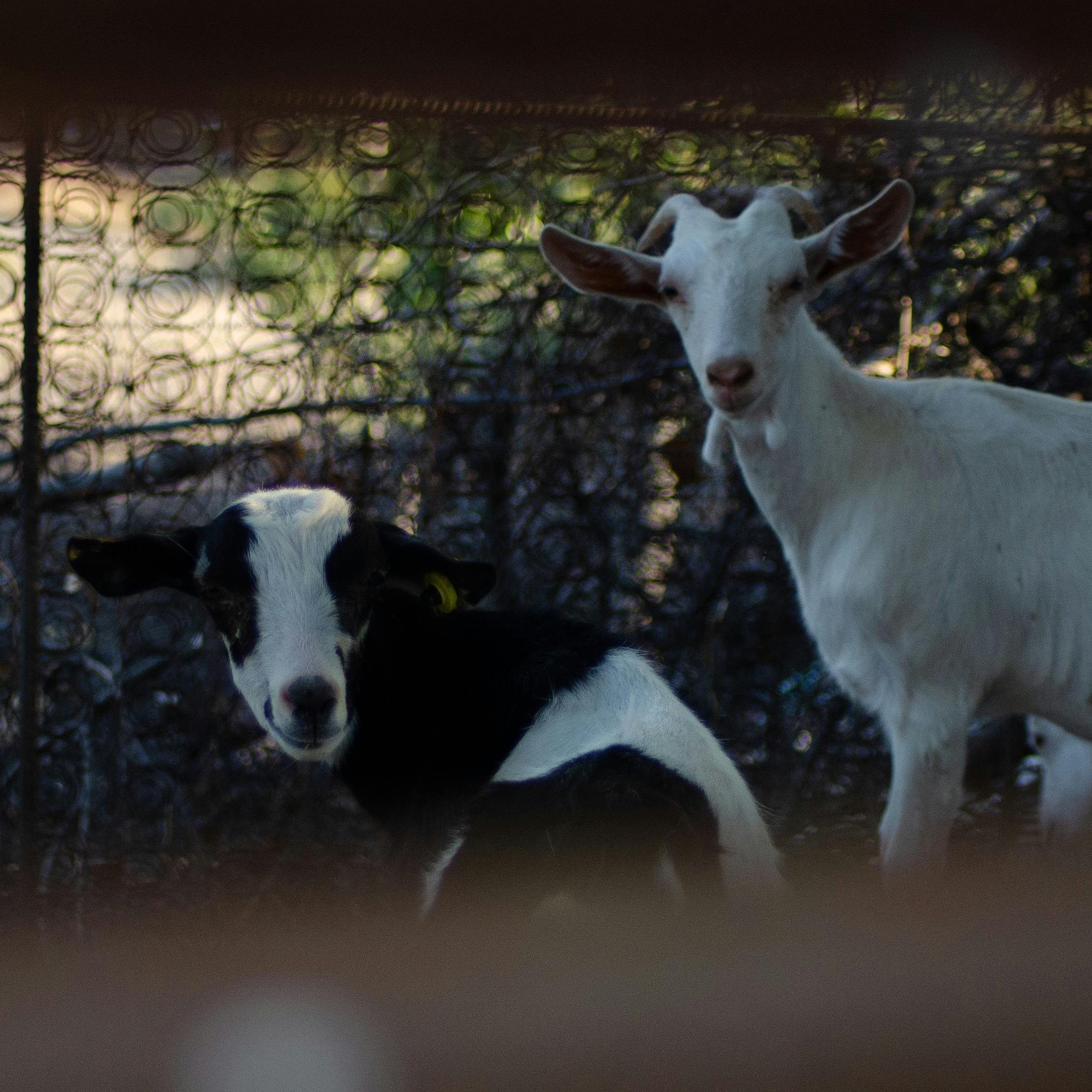 Mert Erim - Photography