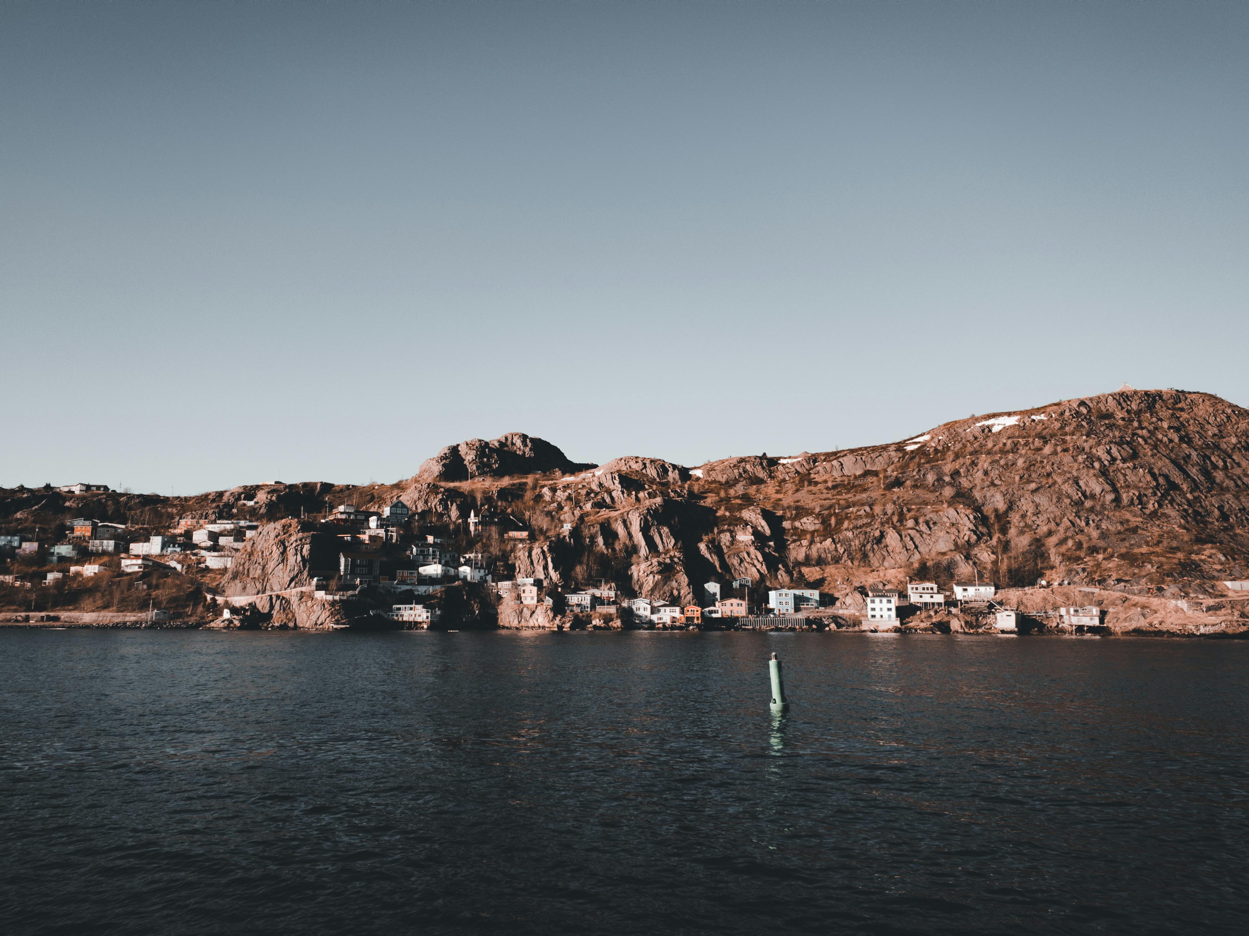 A Man Sitting on a Branch by the Seaside · Free Stock Photo