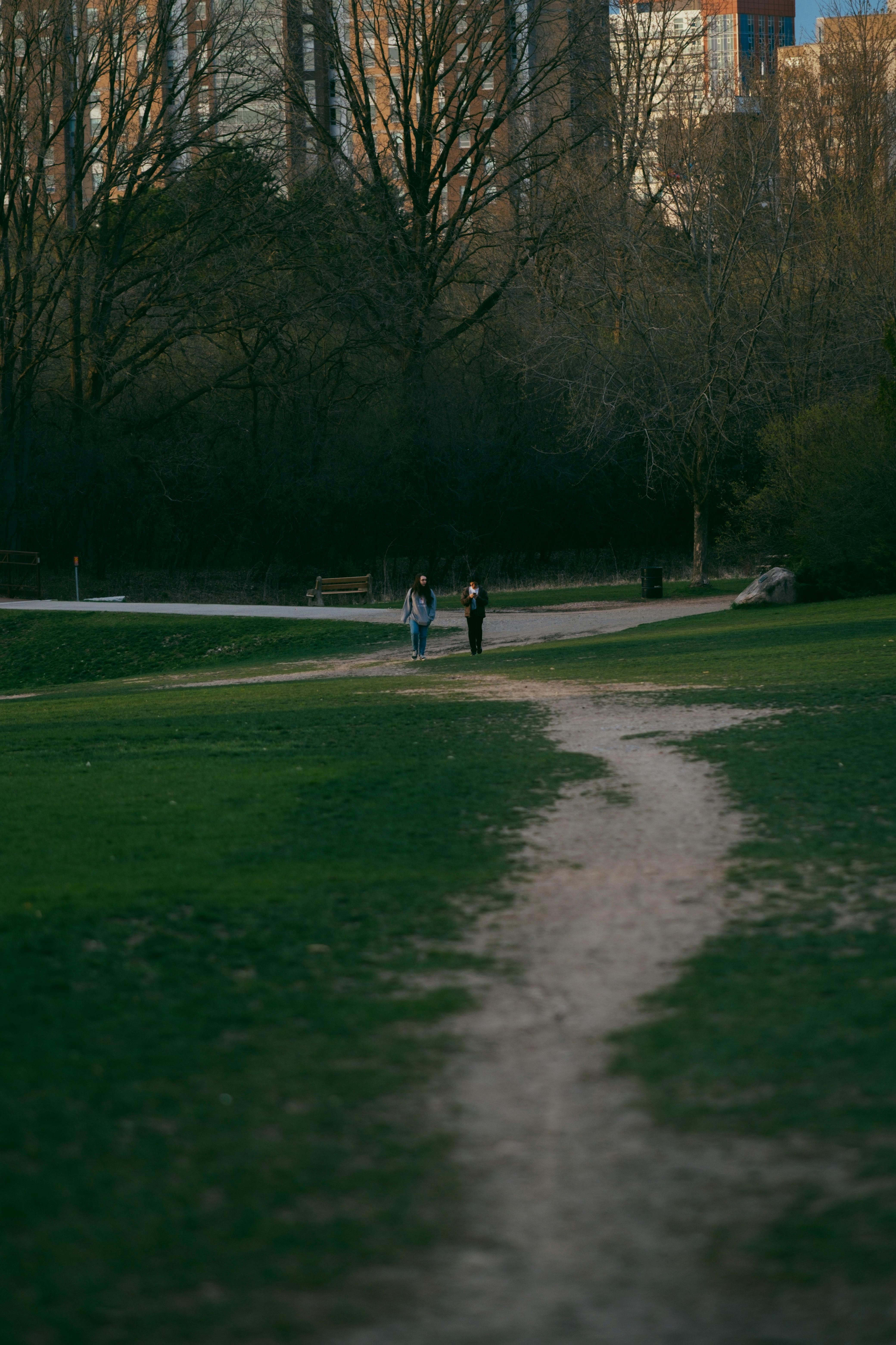 People on a Path in the Park · Free Stock Photo