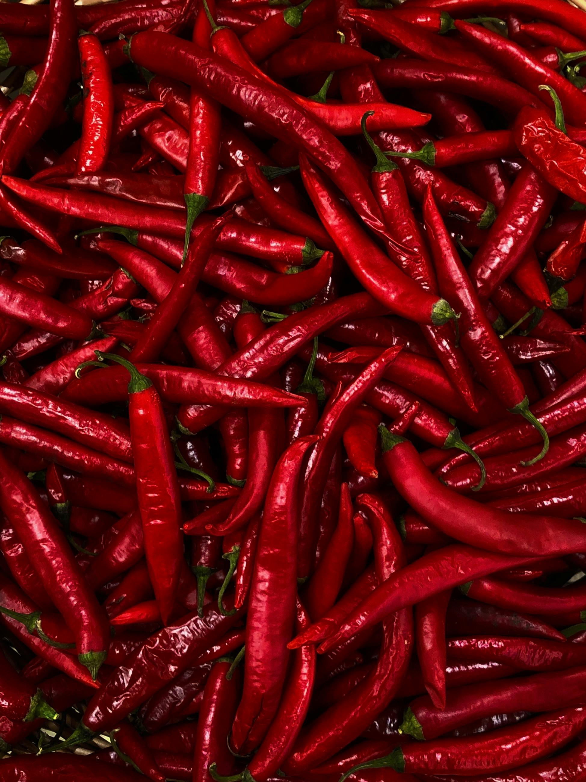 Selective Focus Photography of Bunch of Chilies · Free Stock Photo