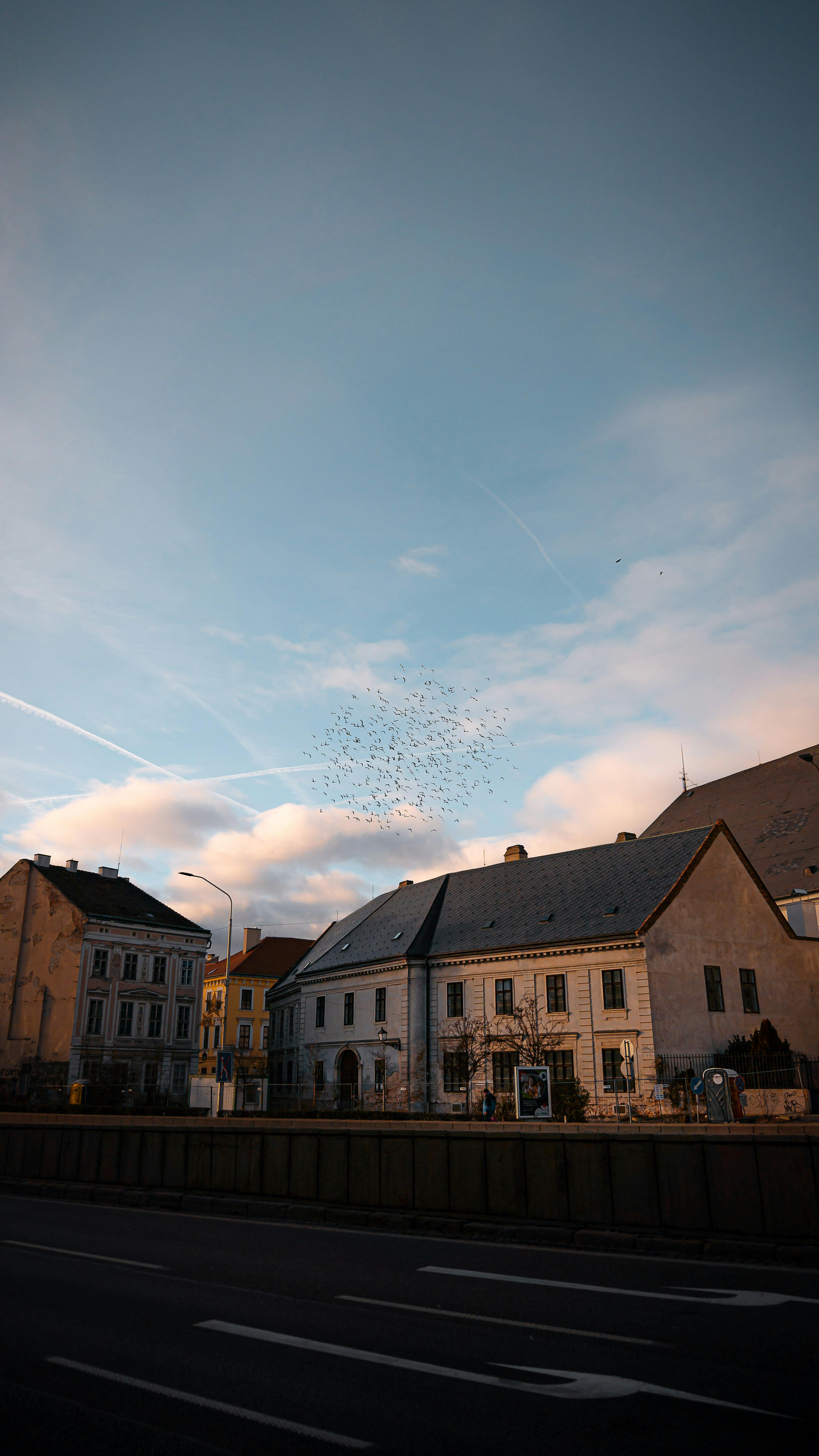 Buildings Under Blue Sky · Free Stock Photo