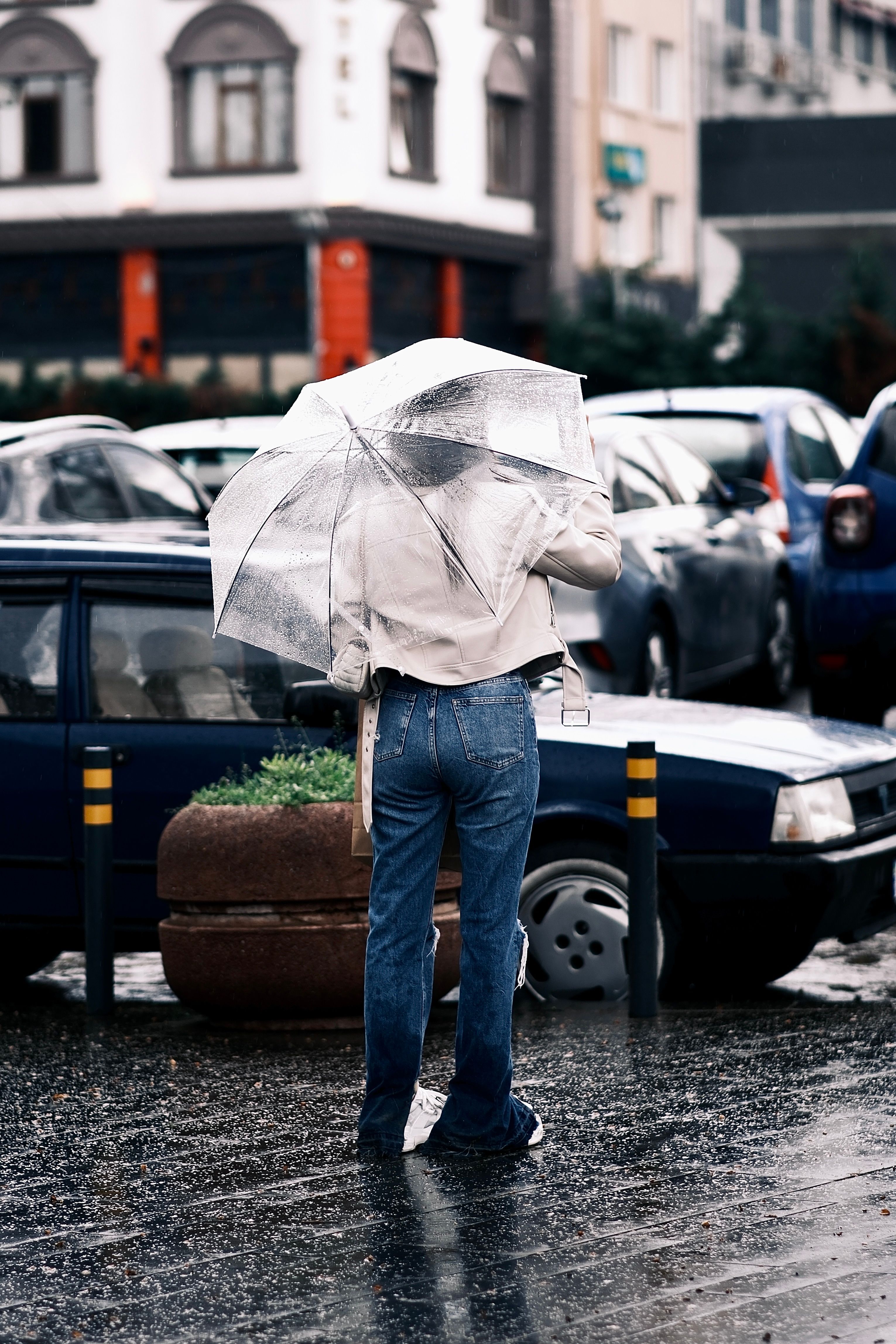 Back View of a Woman with Umbrella on the Sidewalk · Free Stock Photo