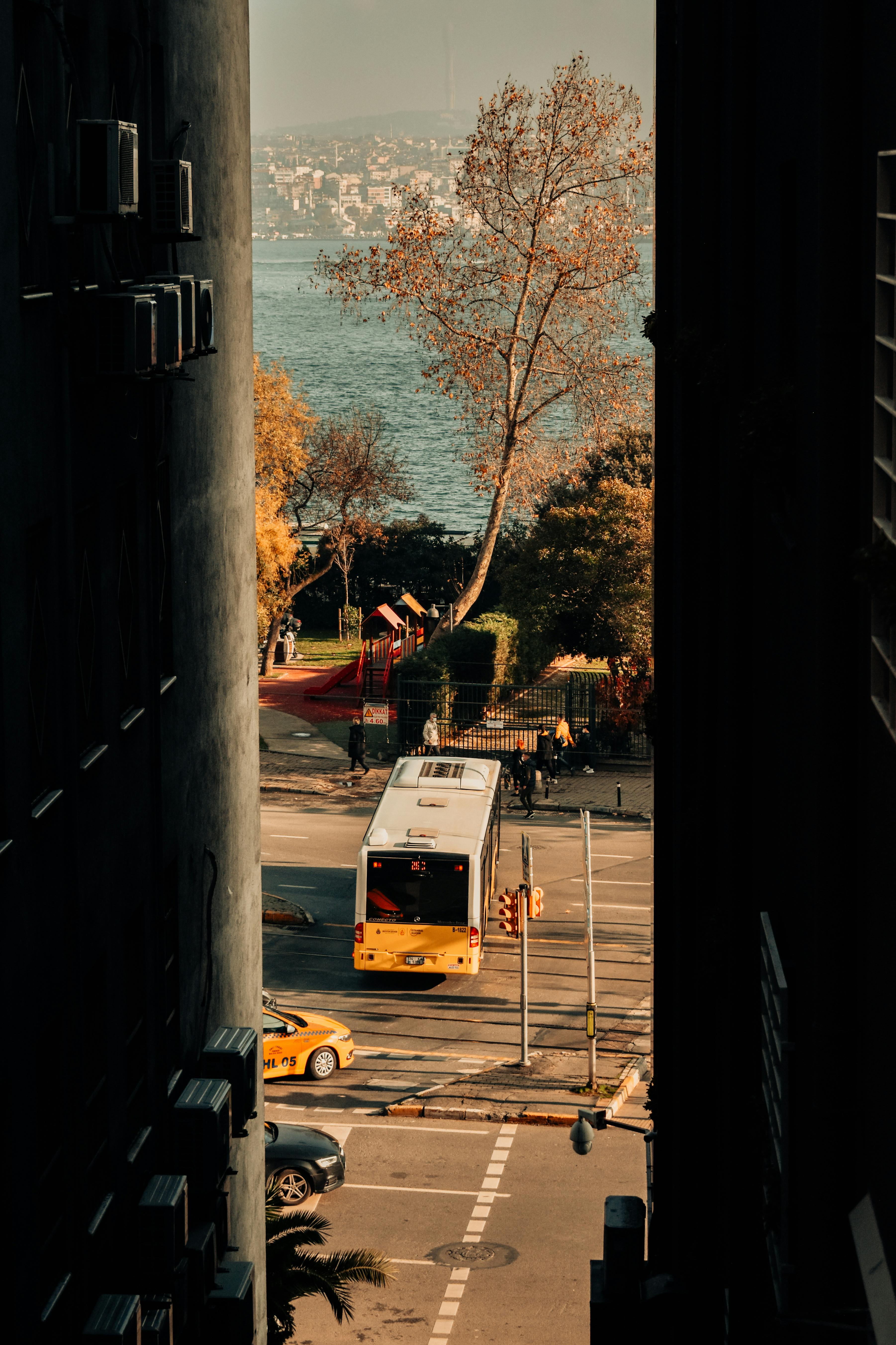 360 Bus Photos, Download The BEST Free 360 Bus Stock Photos & HD Images