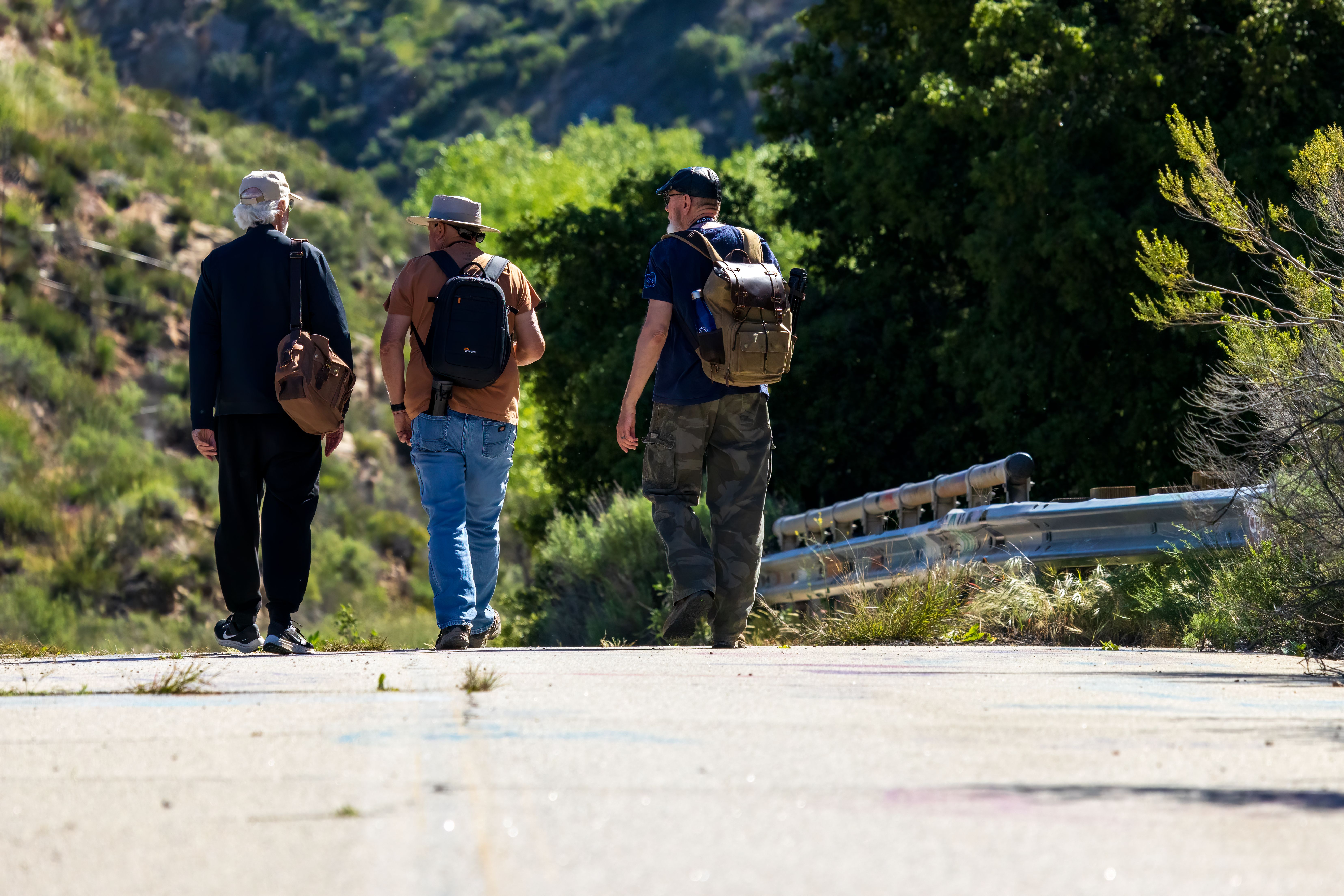 Summer Hiking Photos, Download The BEST Free Summer Hiking Stock Photos ...